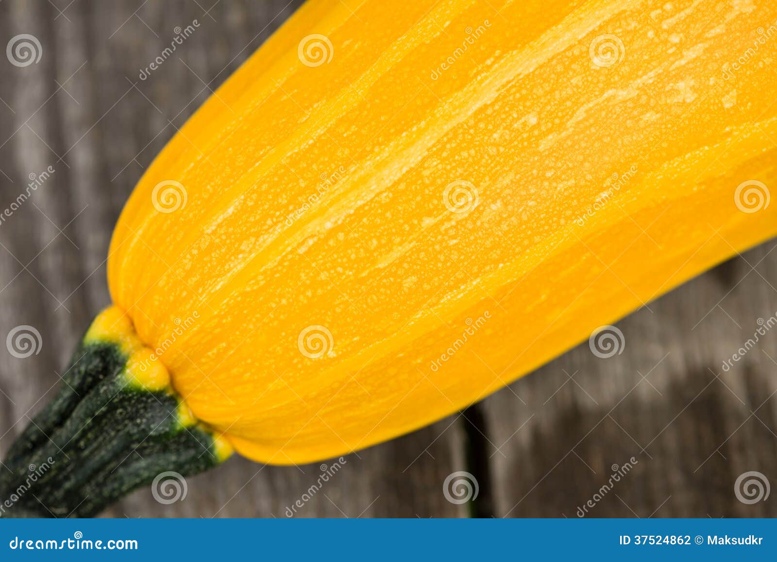 Yellow zucchini stock photo. Image of fresh, seasonal - 37524862