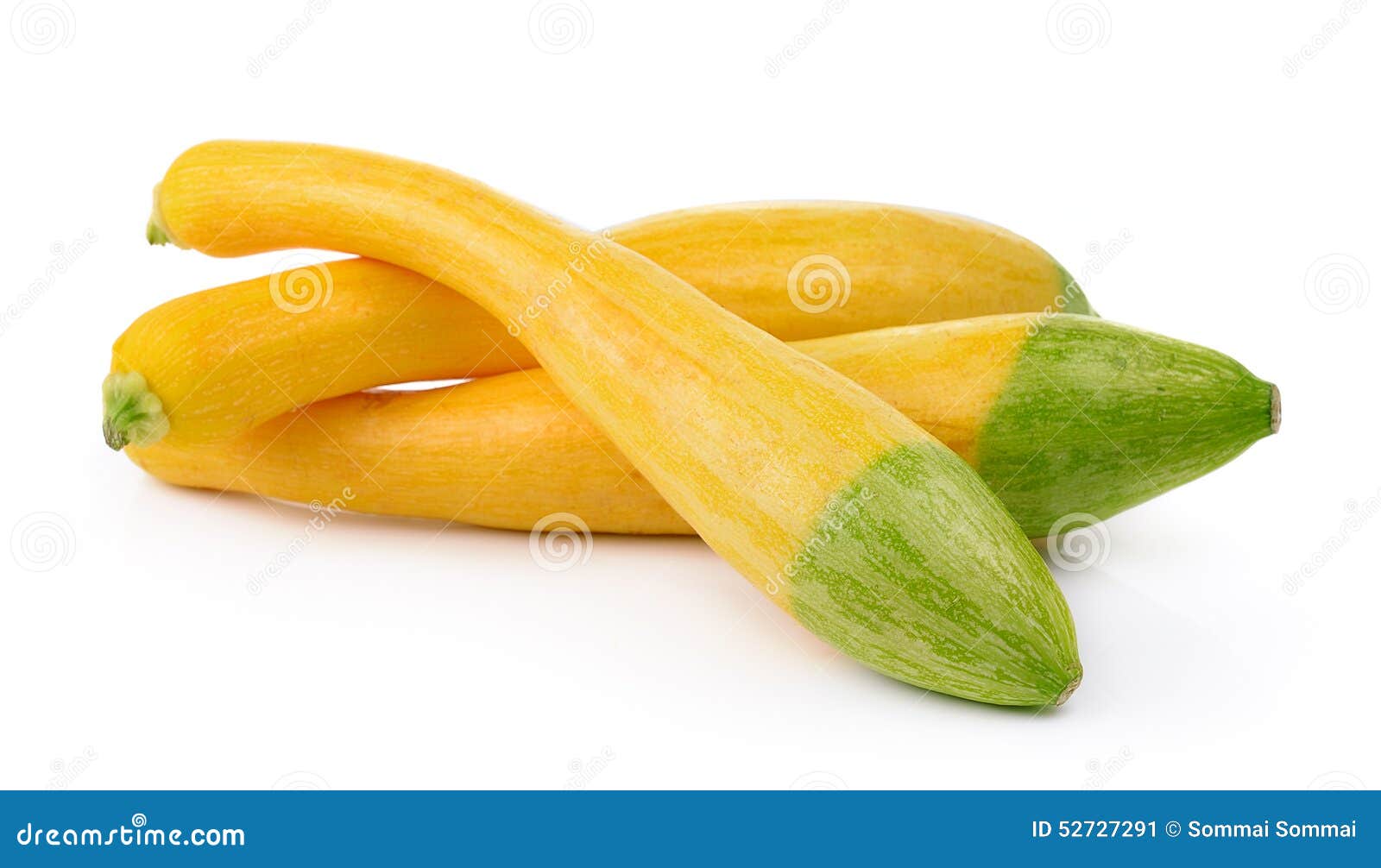 Yellow Zucchini on White Background Stock Image - Image of plant ...