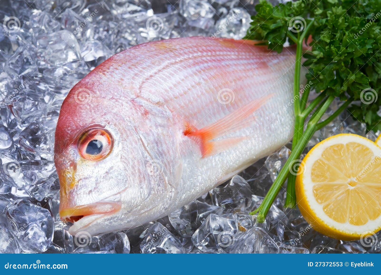 Yellowback seabream stock image. Image of animal, meal - 27372553