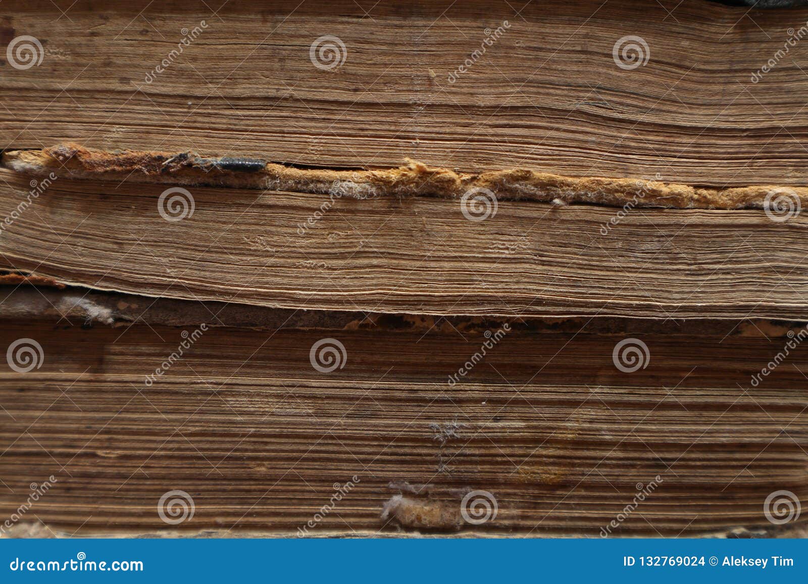 Yellowed Pages of the Old Dilapidated Book. Old Book Stock Photo ...
