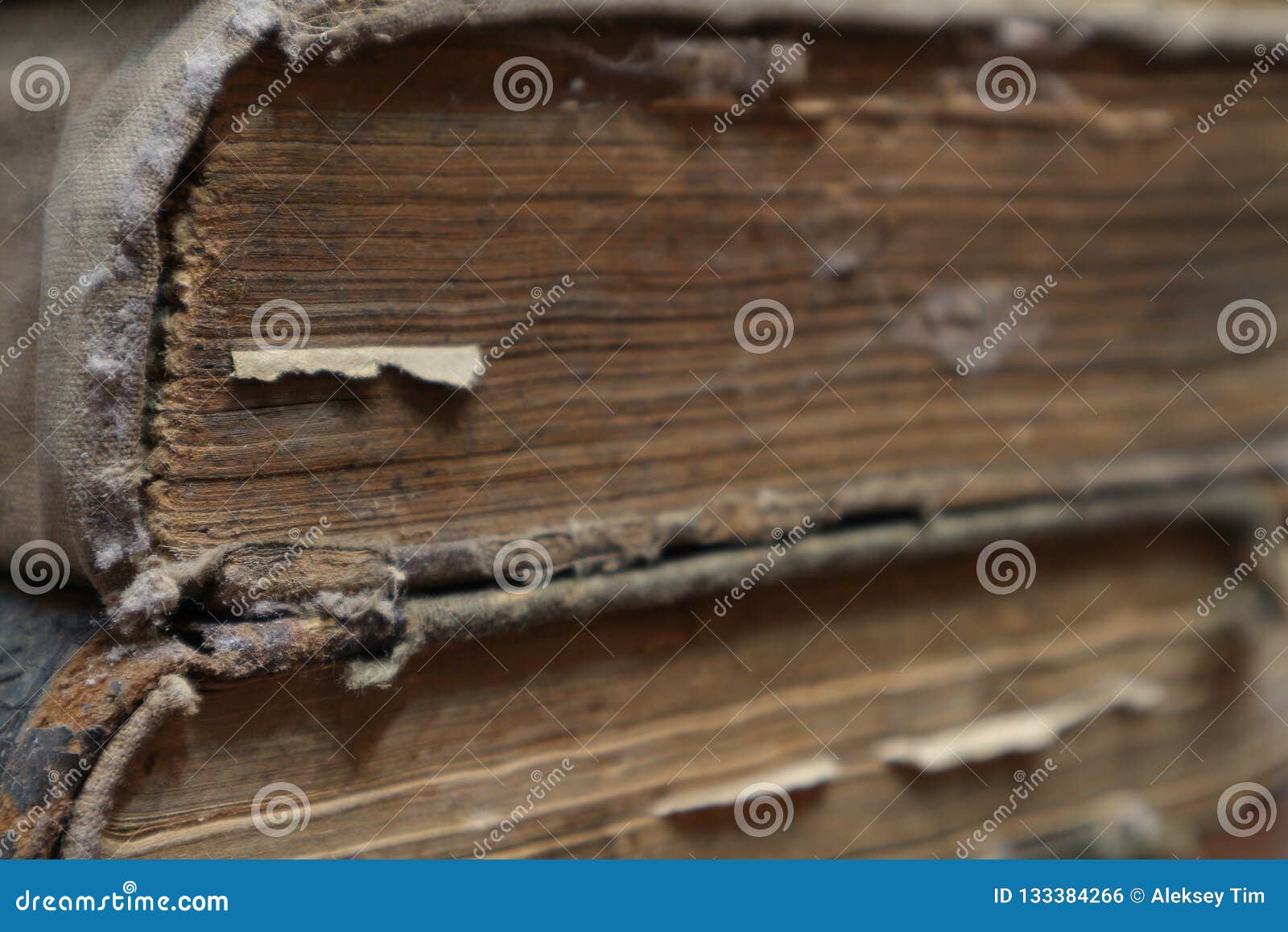 Yellowed Pages of the Old Dilapidated Book. Old Book Stock Photo ...