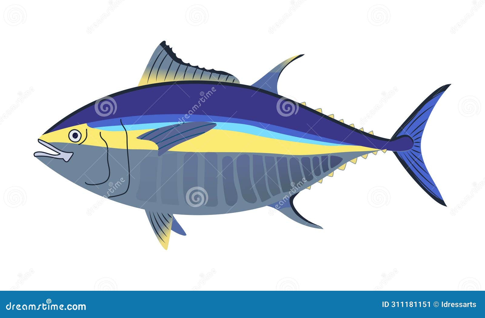 Yellowfin tuna fish. stock vector. Illustration of yellow - 311181151