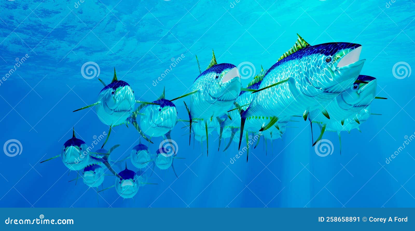 Group Of Yellowfin Tuna Stock Illustration | CartoonDealer.com #17126602