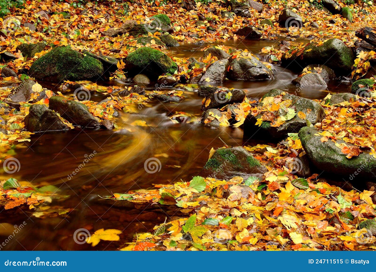 Yellowing Leaves Trickling Stream Stock Image - Image of cold, colorful ...