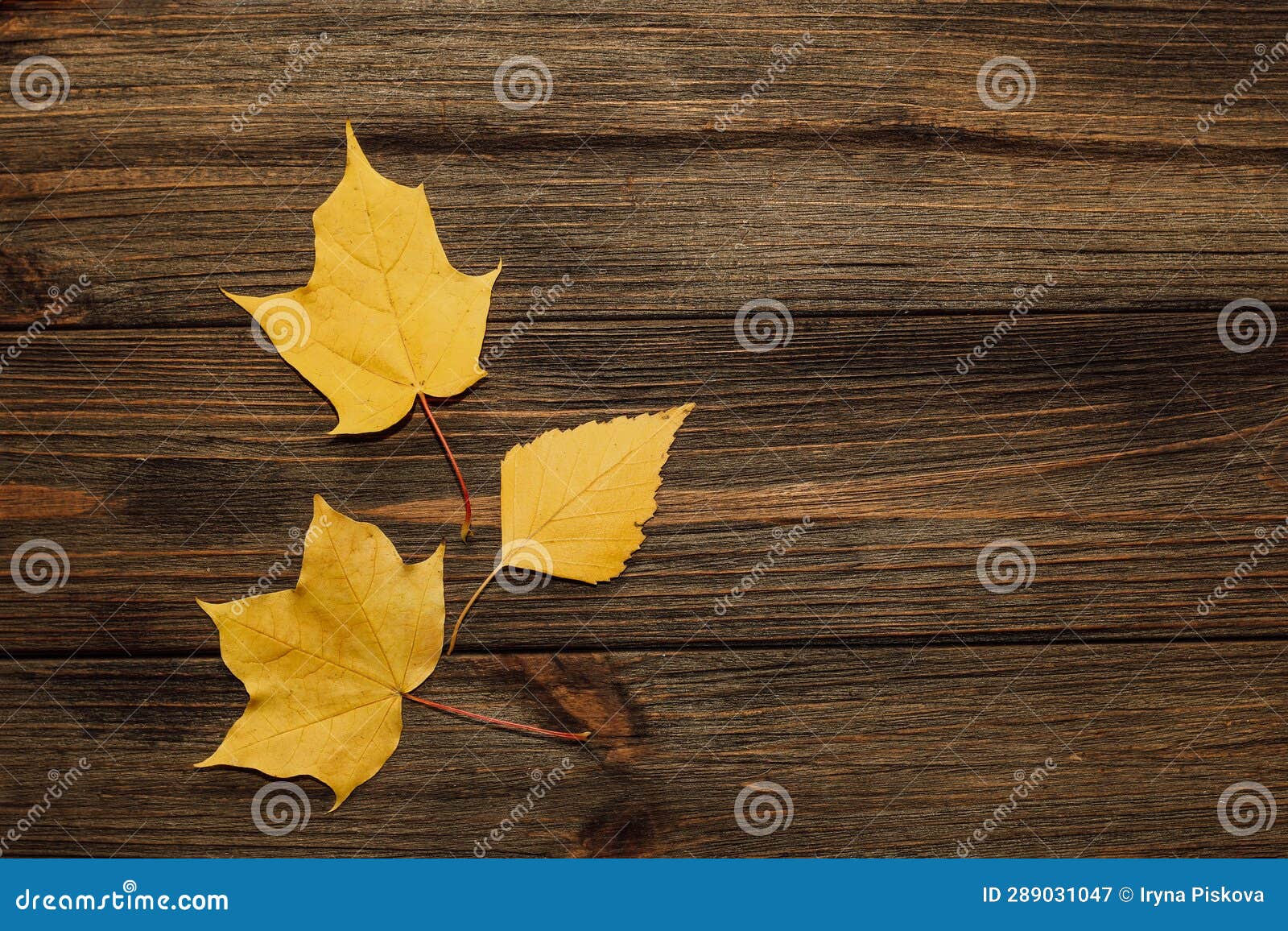 Yellowing Leaves on a Wooden Background, Space for Text Stock Image ...