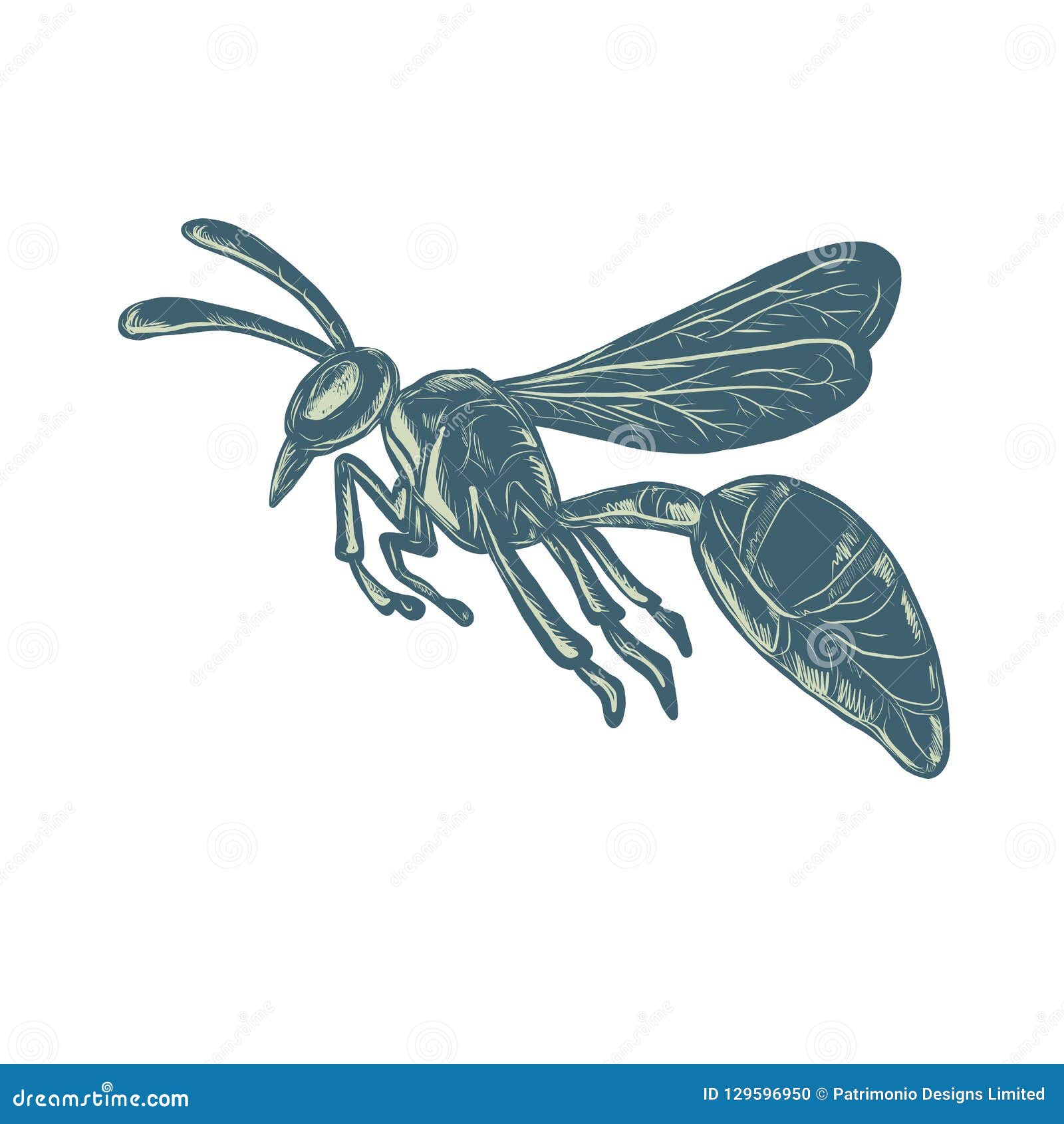 Yellowjacket Cartoons, Illustrations & Vector Stock Images - 119 ...