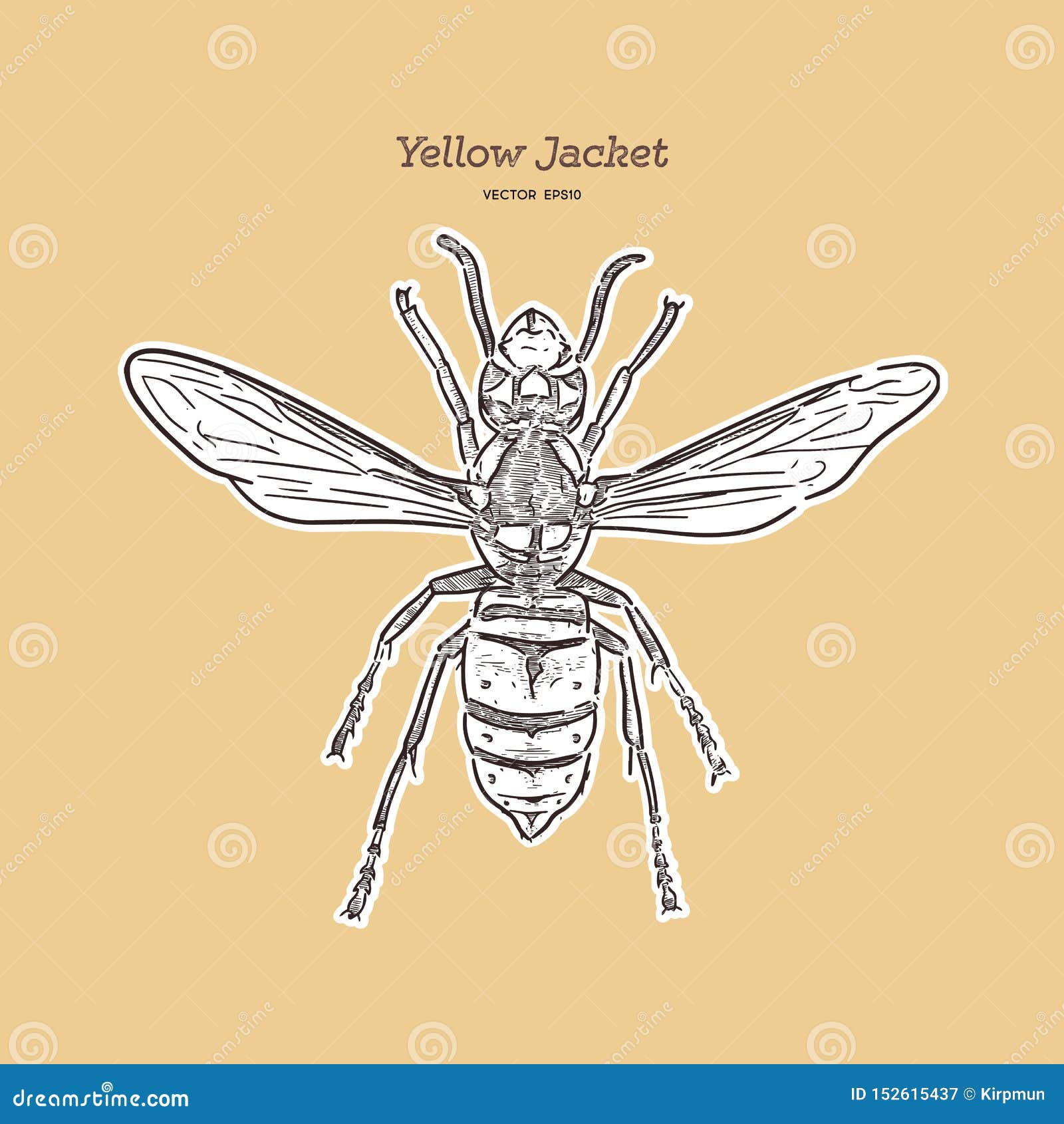 Yellowjacket Cartoons, Illustrations & Vector Stock Images - 119 ...