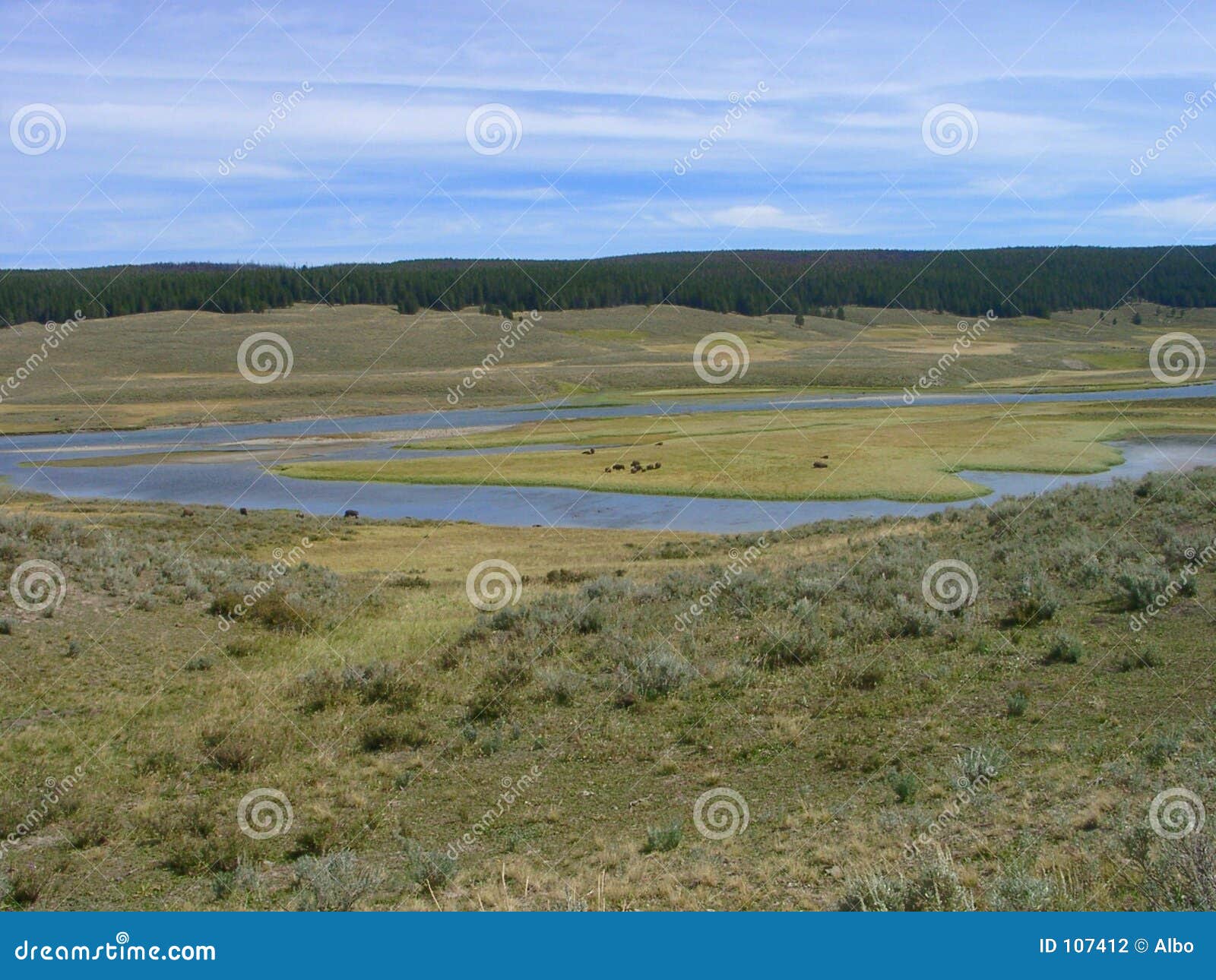 Yellowstone stock photo. Image of water, land, nature, grass - 107412