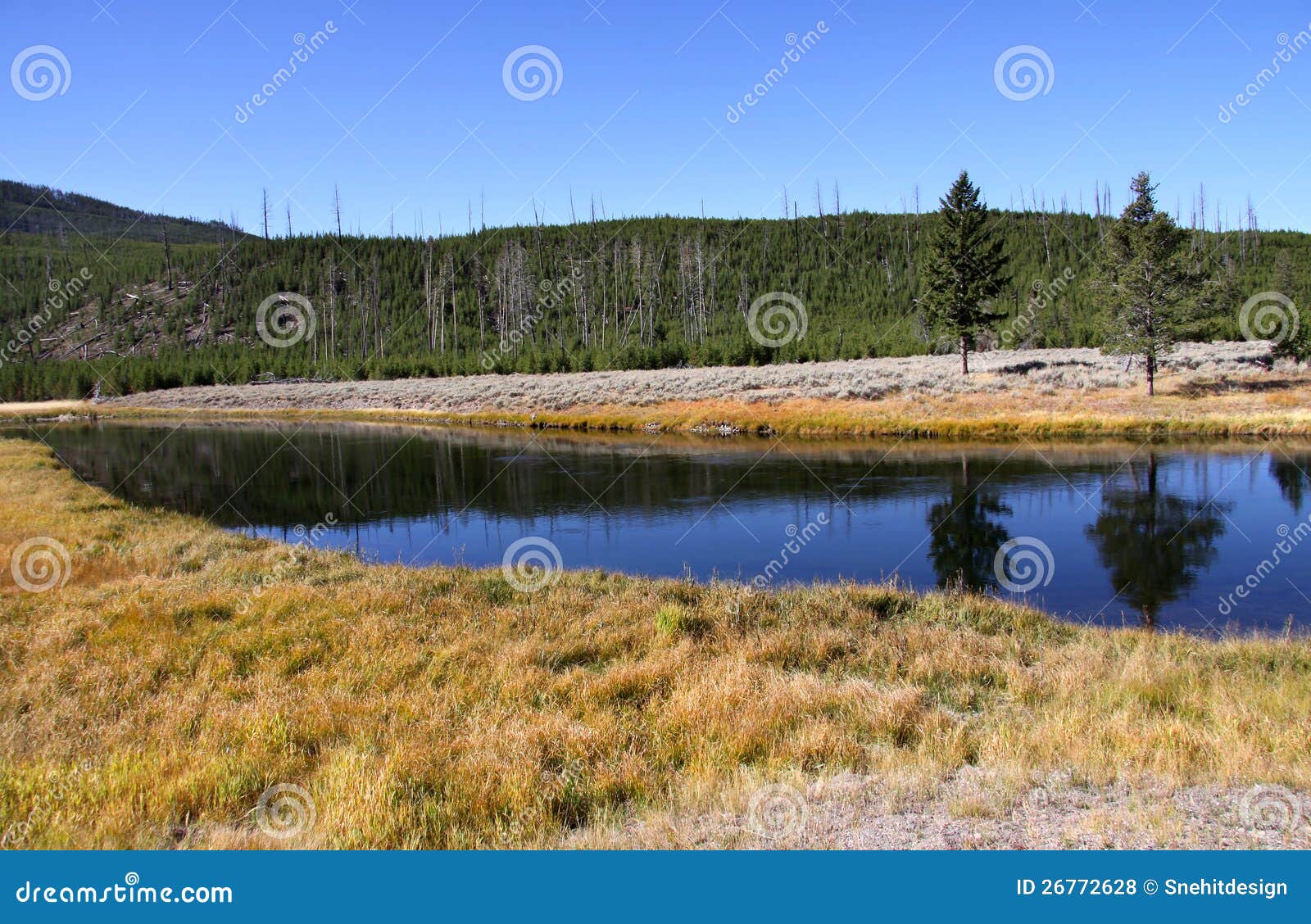 Yellowstone in autumn stock photo. Image of beautiful - 26772628