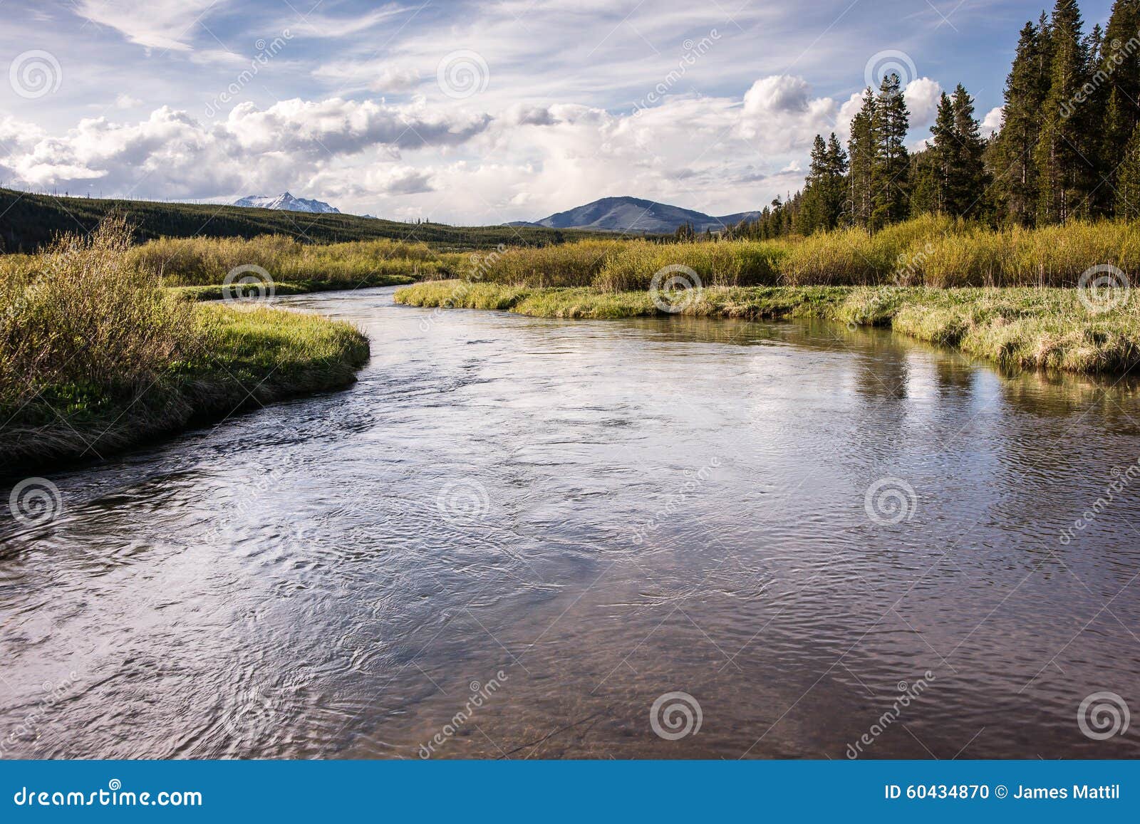 Yellowstone Back Country Trout Stream Stock Photo - Image of meadow ...