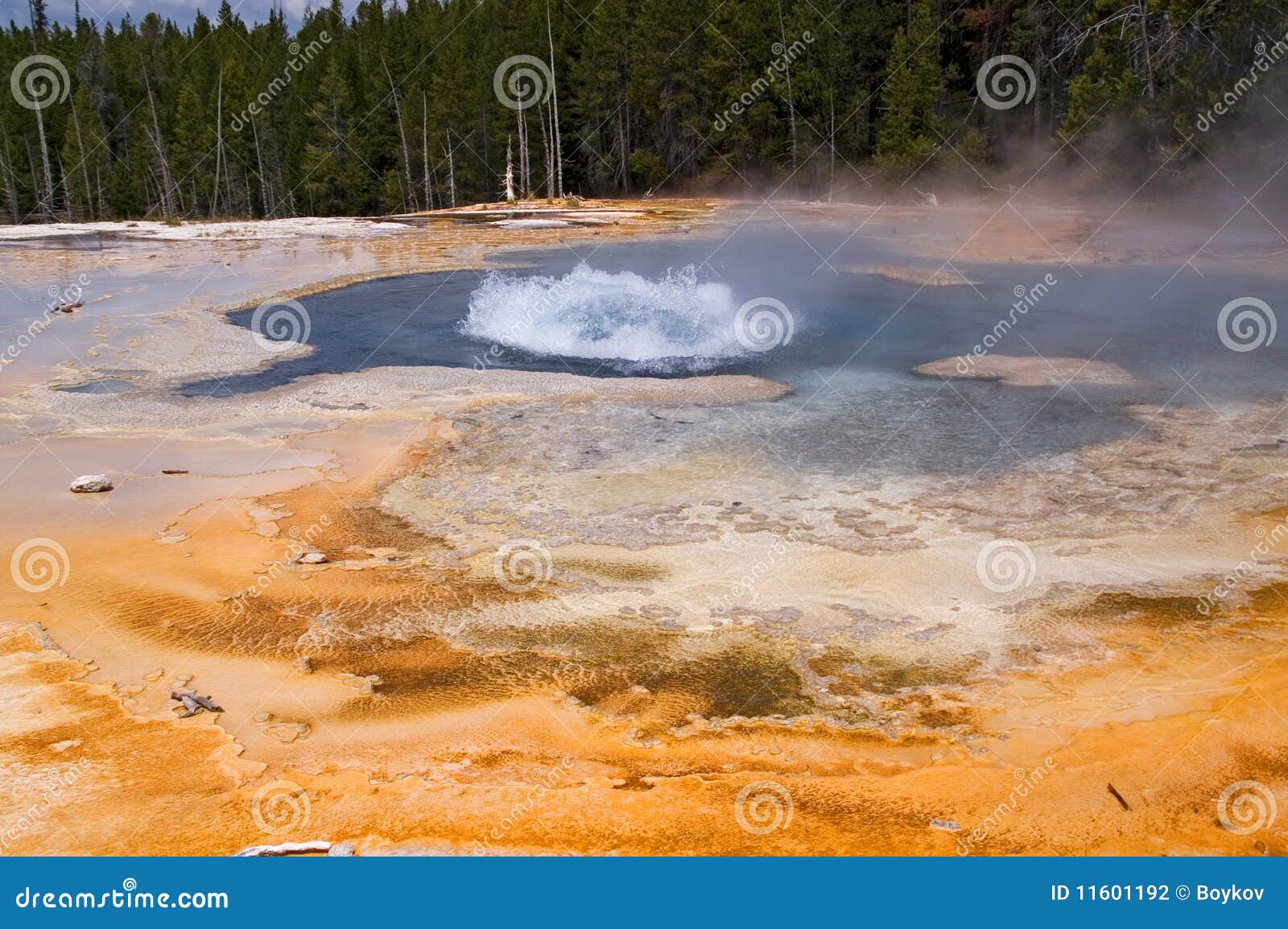 Yellowstone Geothermal Geyser Stock Photo - Image of pool, natural ...
