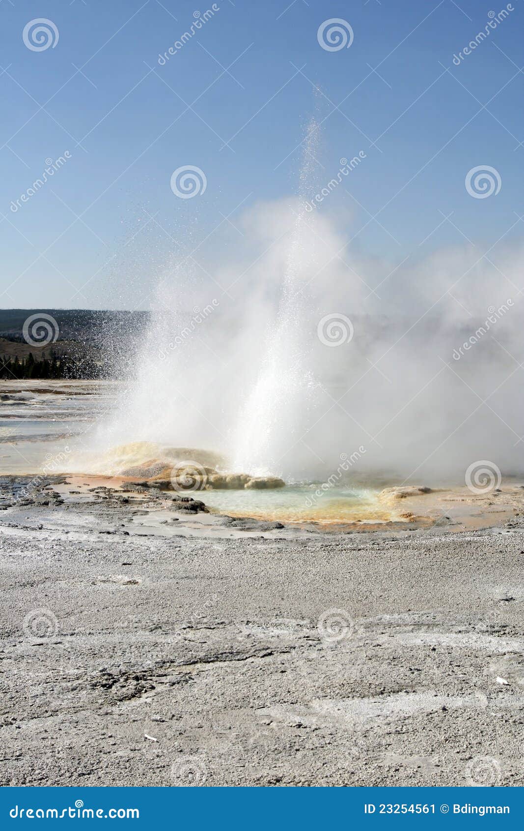 Yellowstone Geyser stock image. Image of bdingman, morning - 23254561