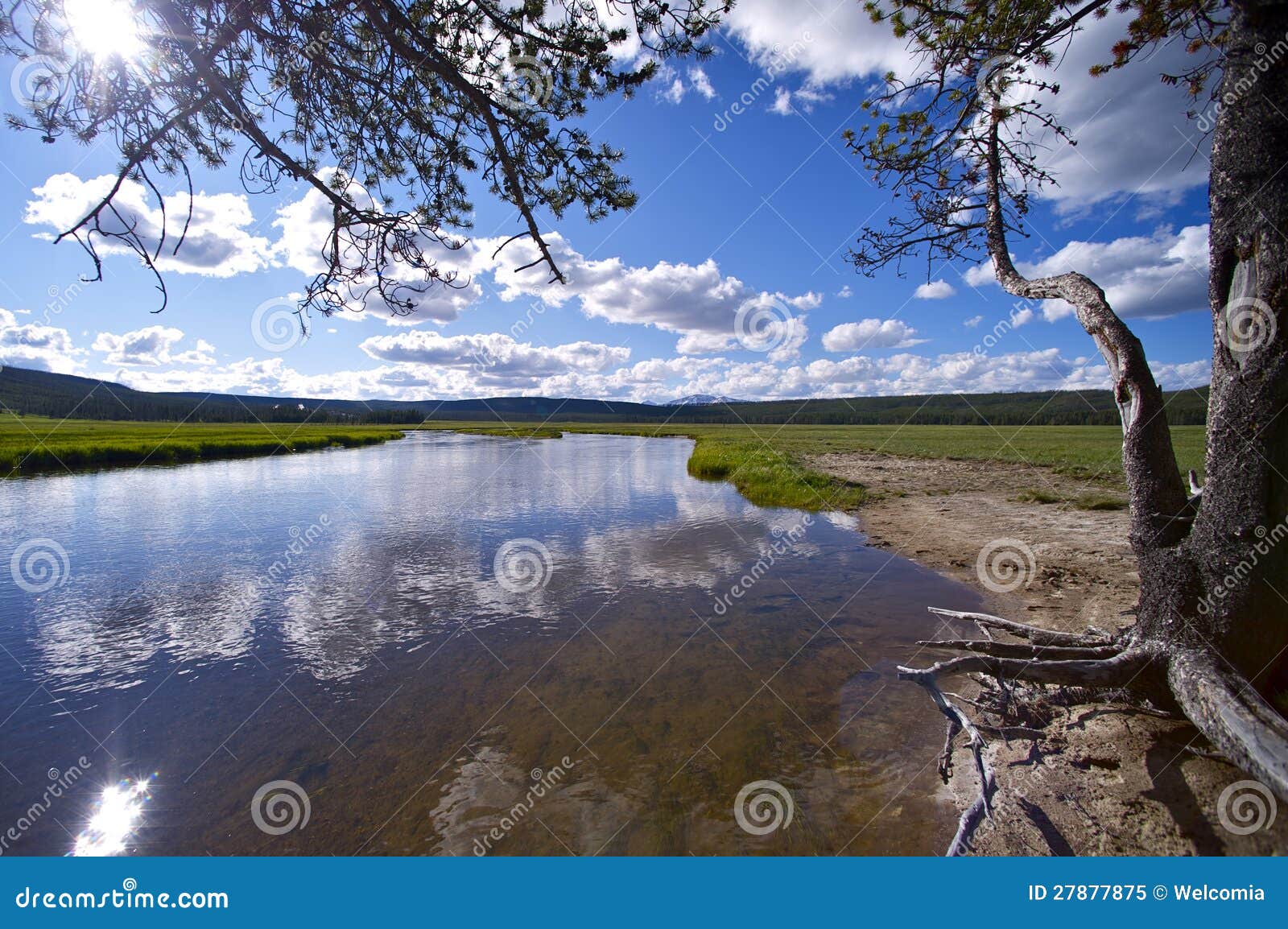 Yellowstone Gibbon River stock image. Image of landscape - 27877875