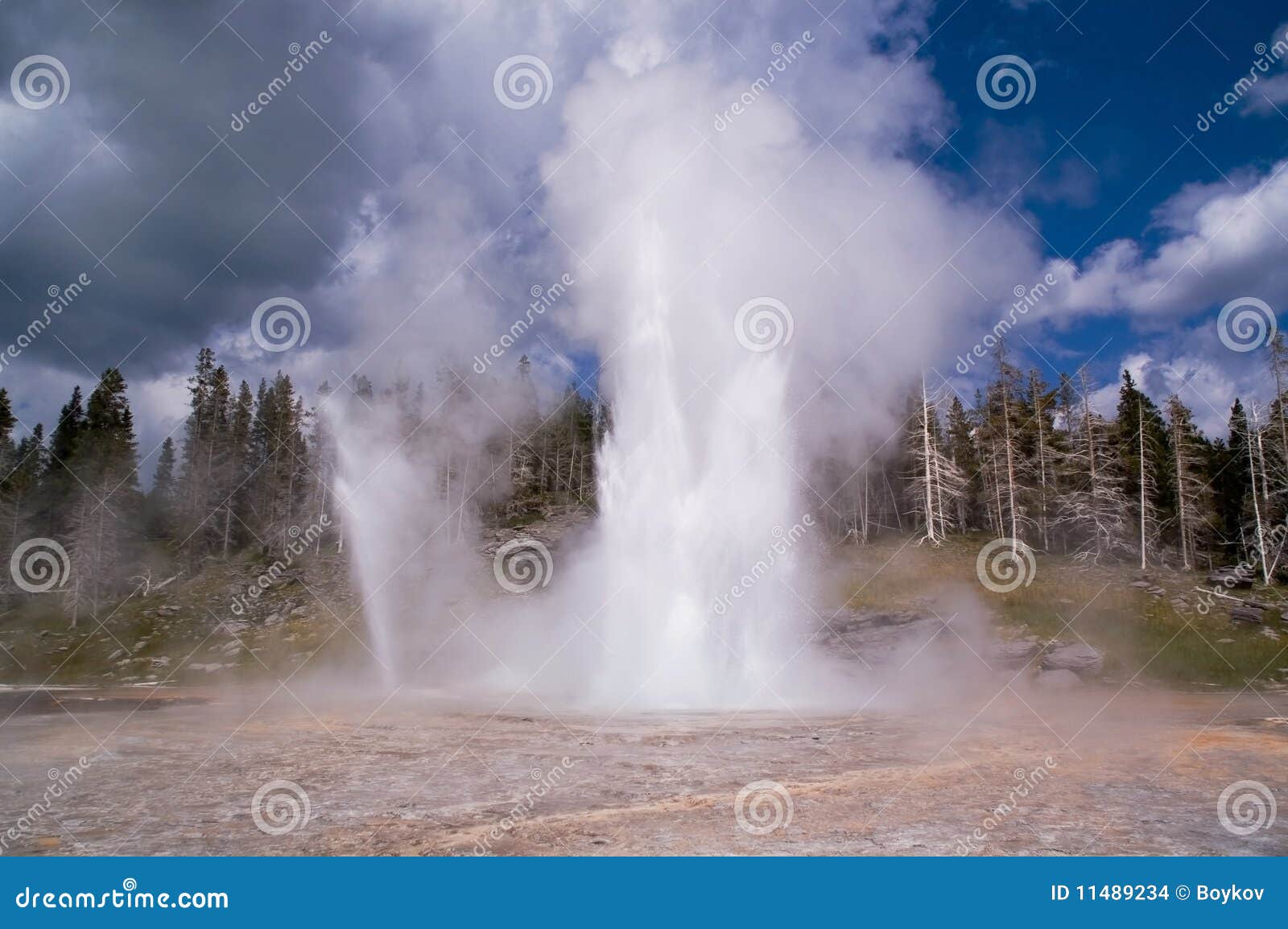 Yellowstone`s Grand Loop Road Passes Through The Golden Gate Surrounded ...