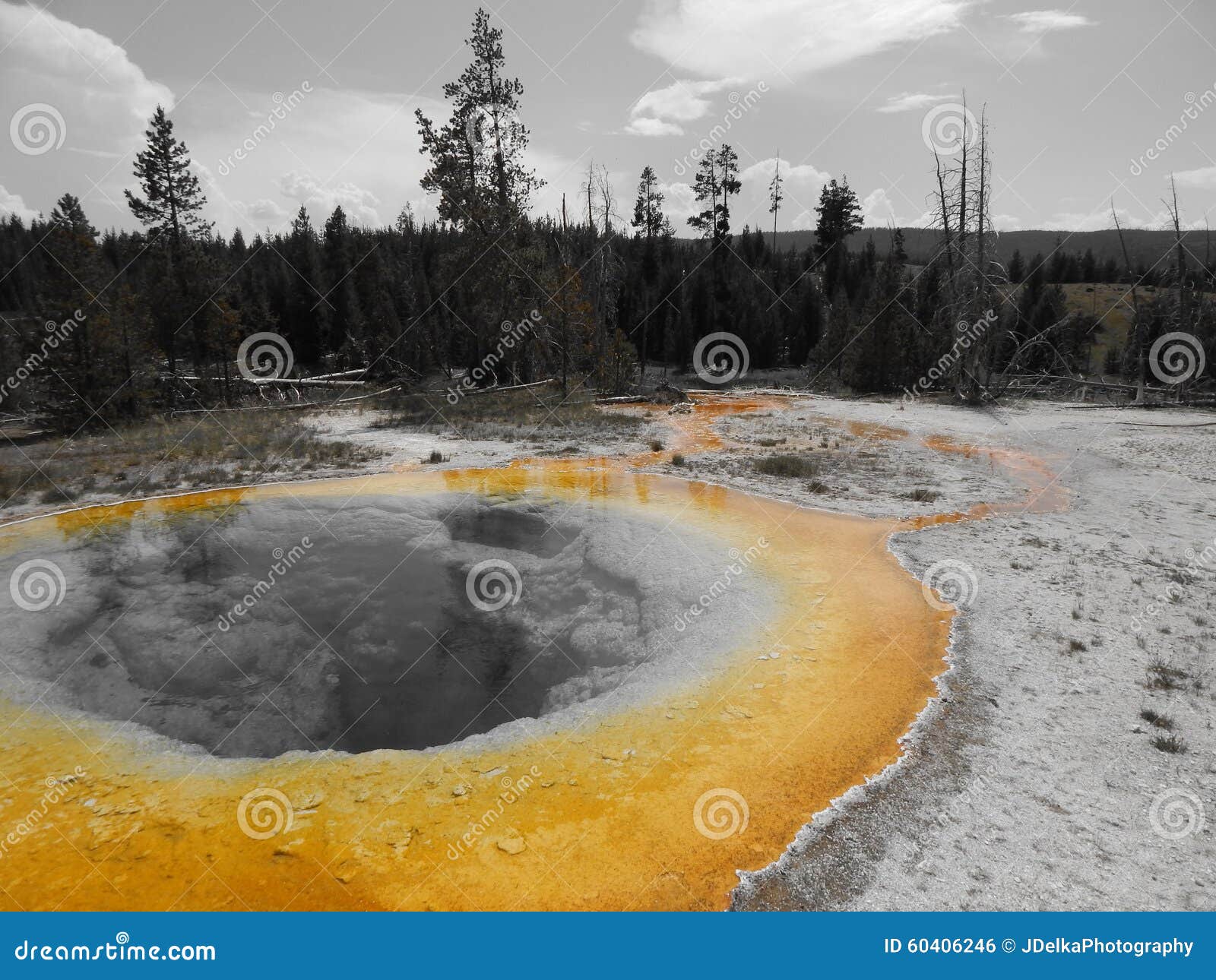 Yellowstone Hot Spring stock photo. Image of outdoors - 60406246