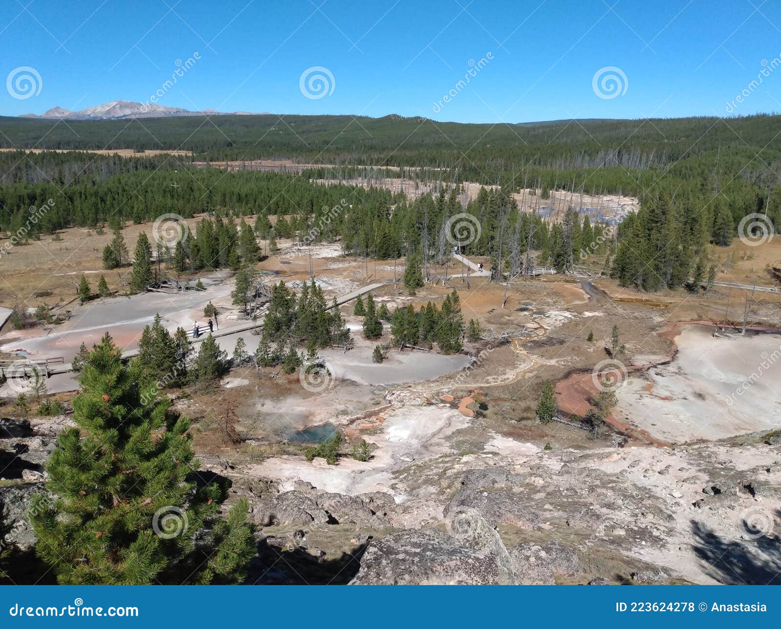 Yellowstone King of Castle View Stock Photo - Image of tree, plateau ...