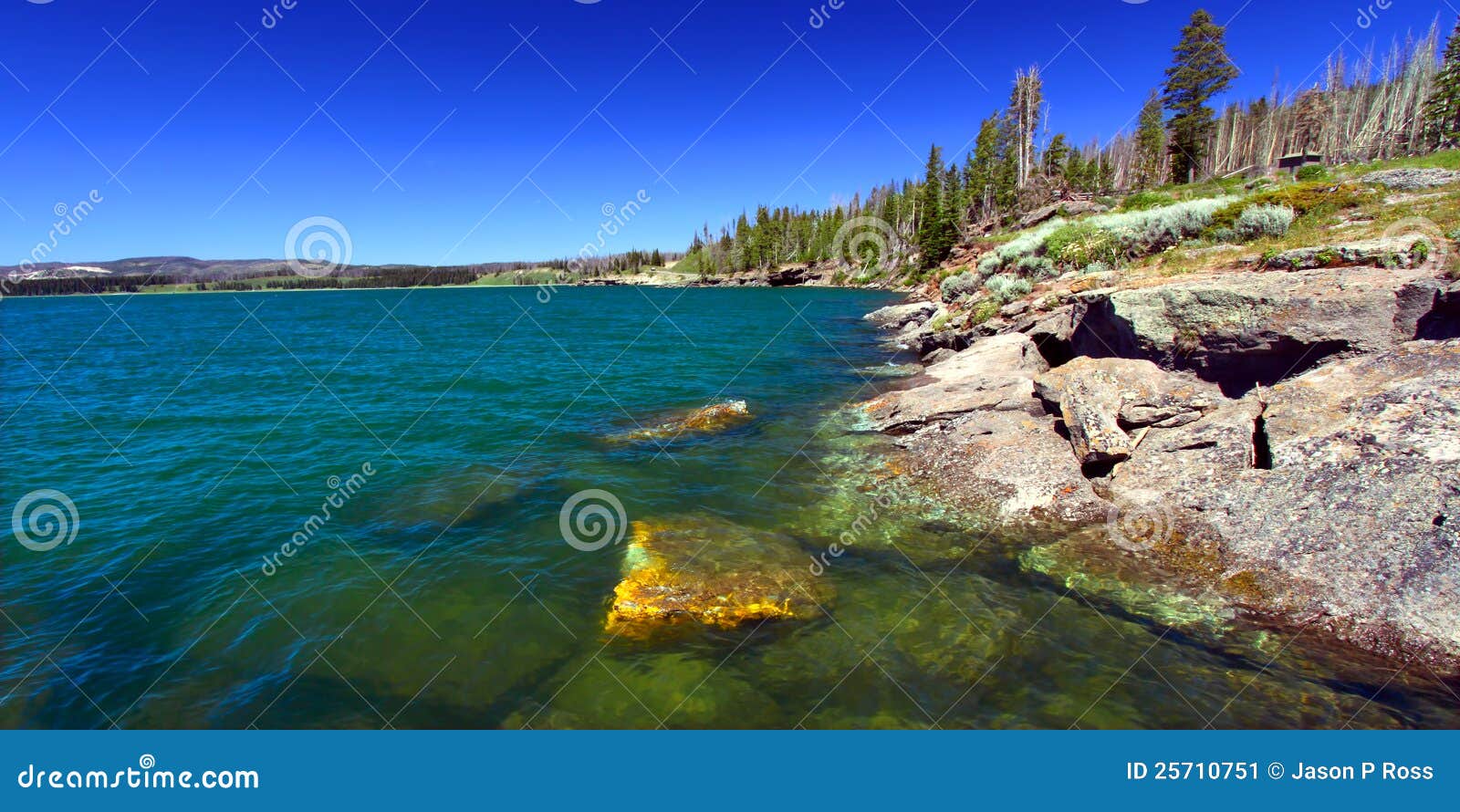 Yellowstone Lake in Wyoming Stock Image - Image of ecology, mountain ...