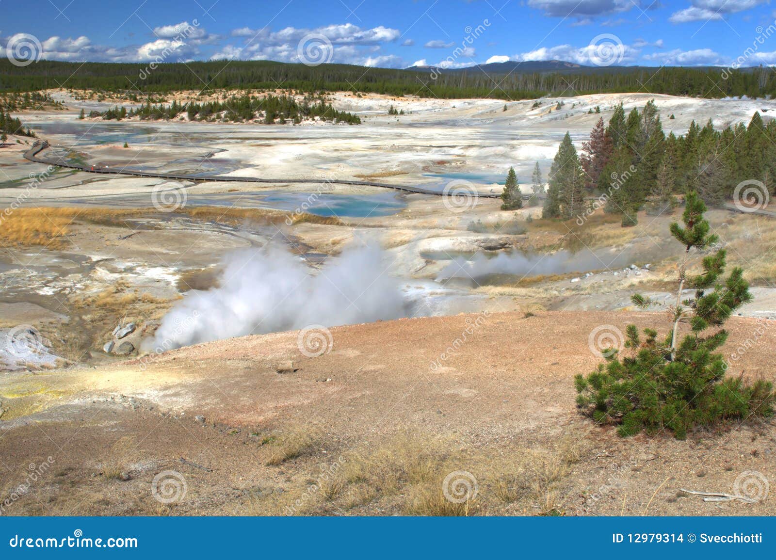 Yellowstone Landscape stock photo. Image of national - 12979314