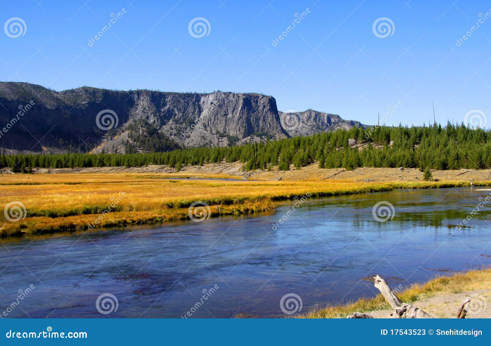 Yellowstone landscape stock image. Image of peaceful - 17543523