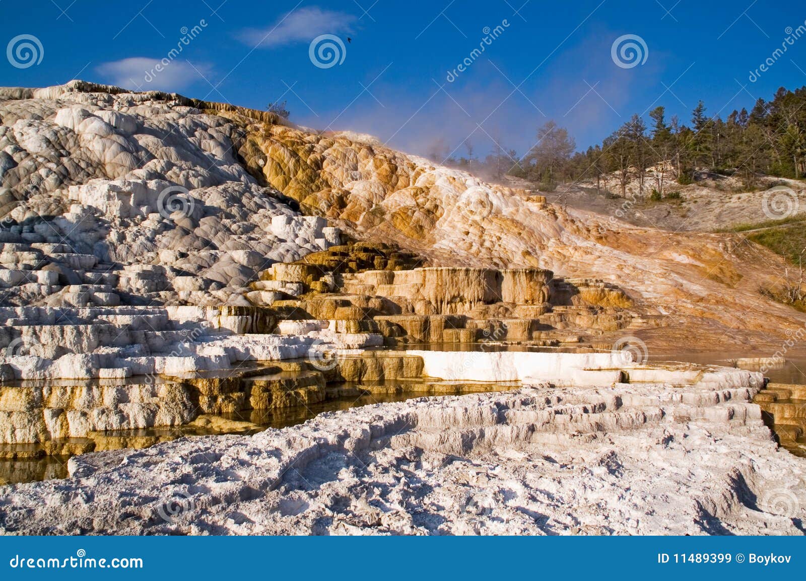 Yellowstone, Mammoth Hot Springs Terraces Stock Image - Image of ...