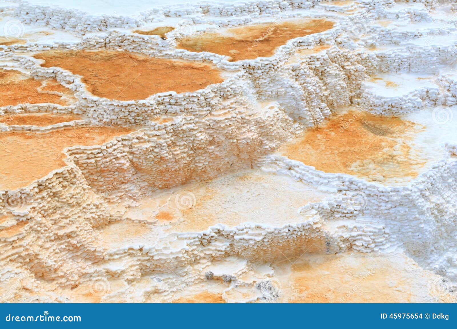 Yellowstone stock photo. Image of springs, united, destination - 45975654