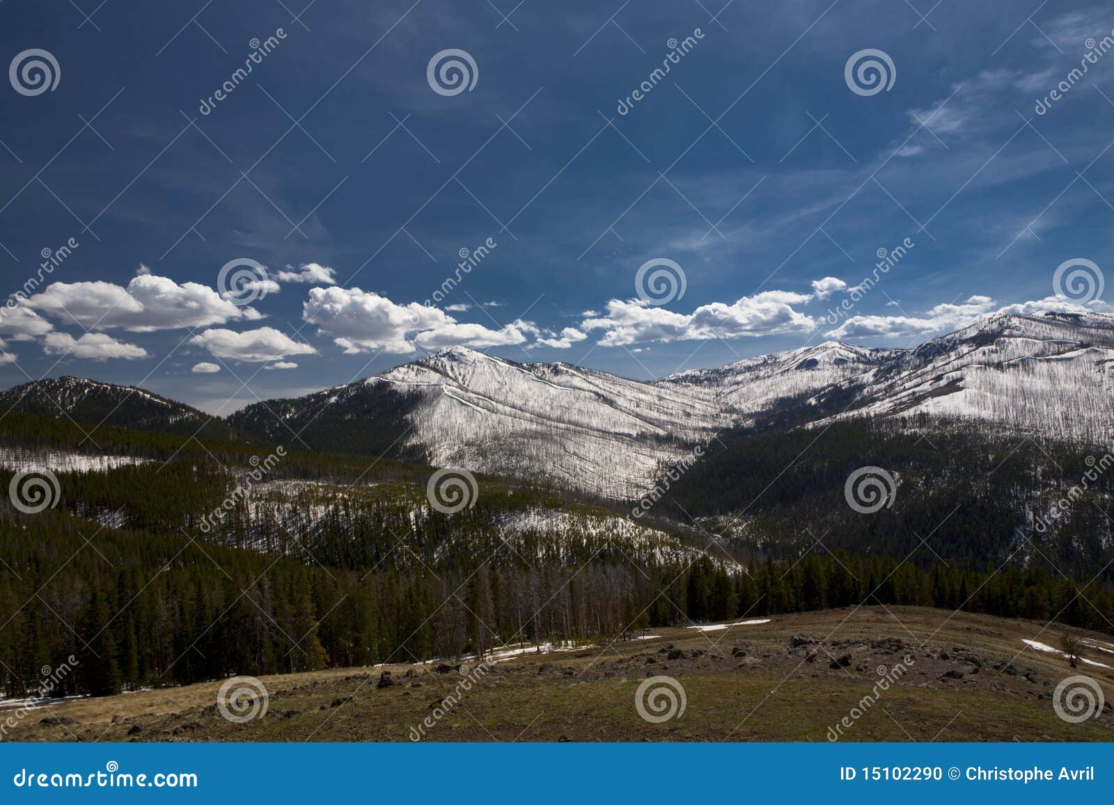 Yellowstone Mountain stock photo. Image of valley, mountain - 15102290