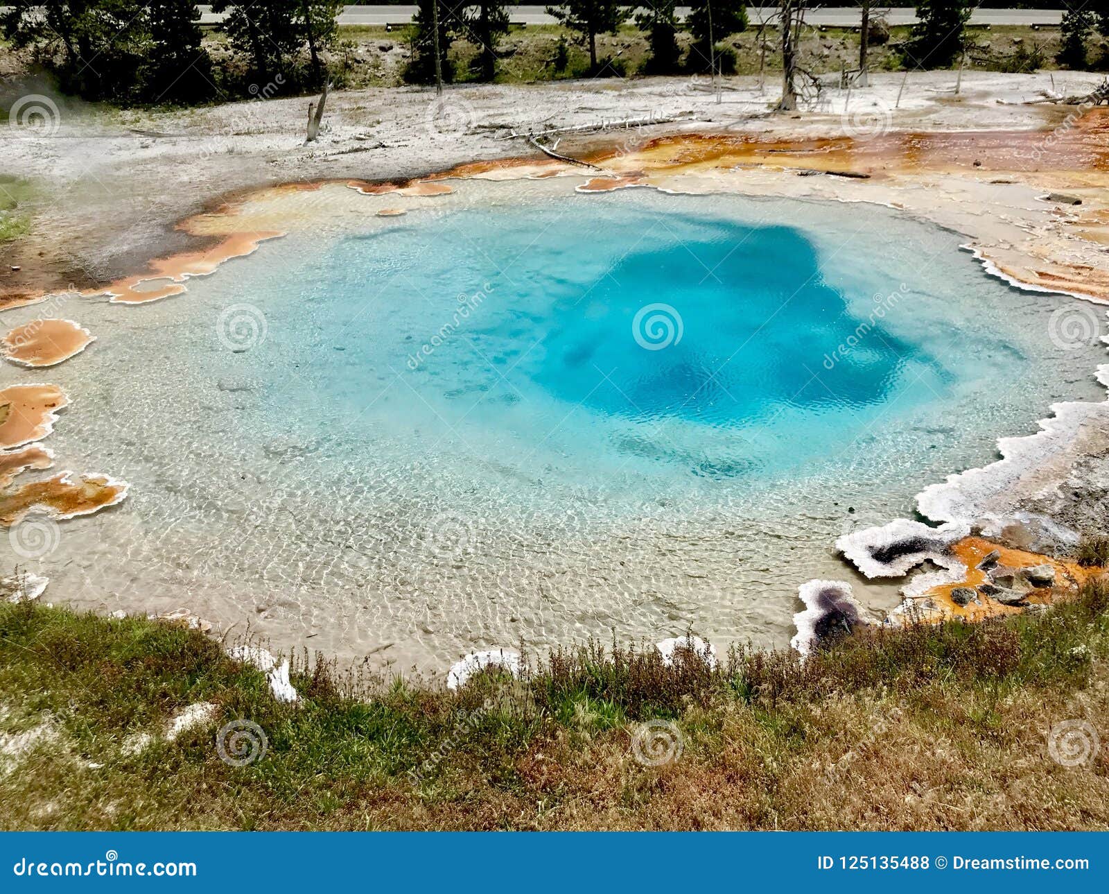 Geothermal Hot Pools In Te Whakarewarewa Valley Stock Photography ...