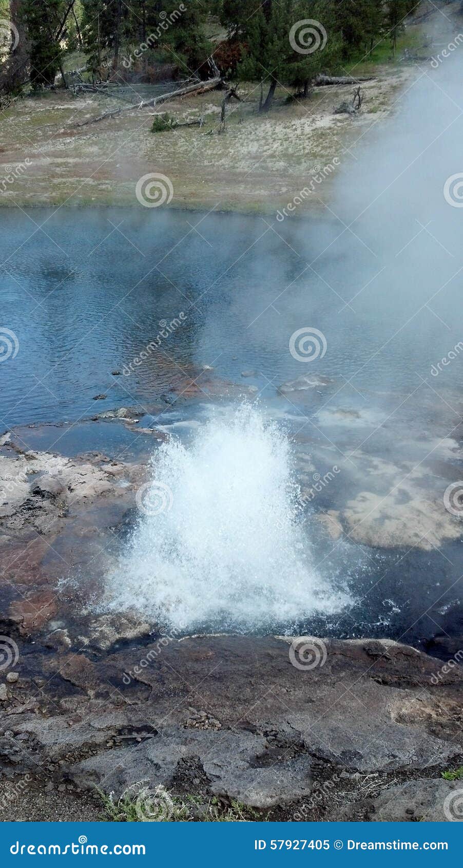 Yellowstone National Park Geyser Erupt Stock Image - Image of ...