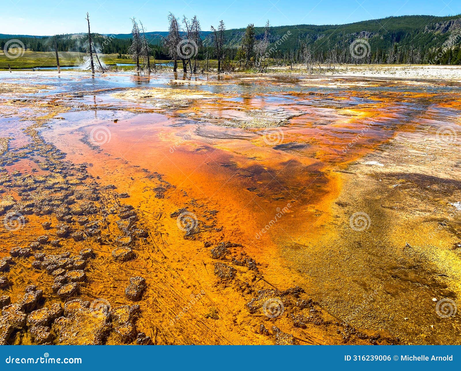 Yellowstone National Park Thermal Feature Stock Photo - Image of ...