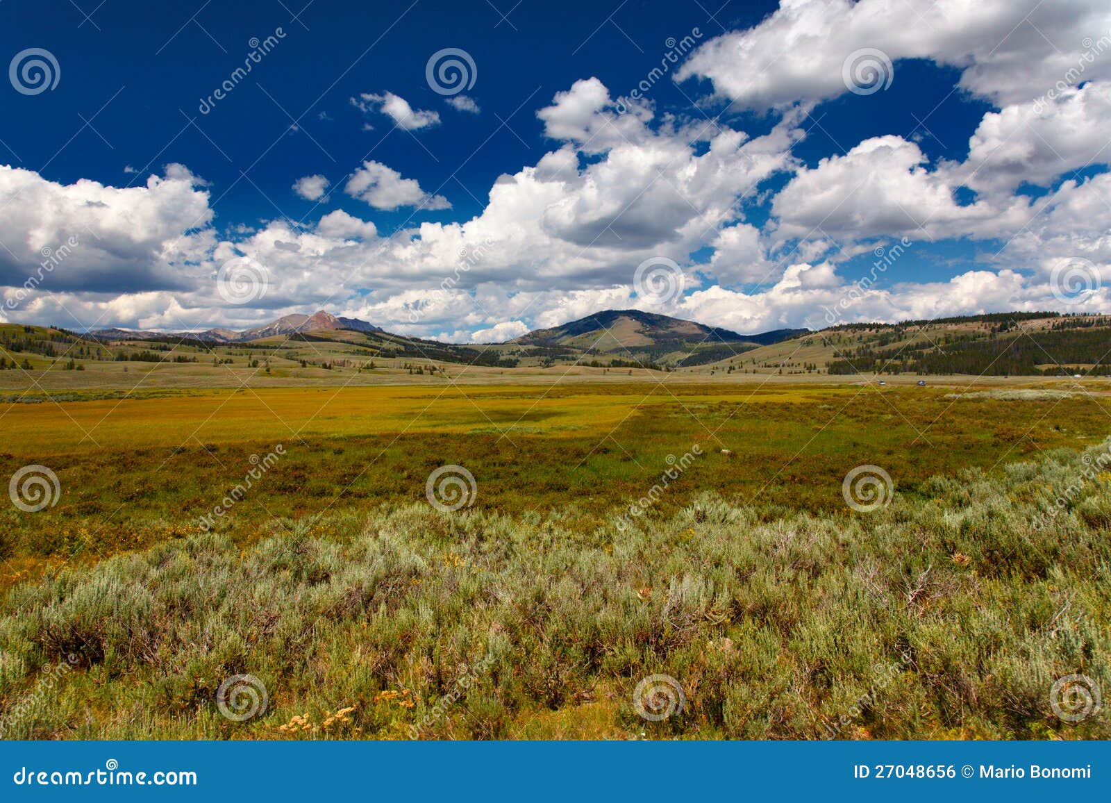 Yellowstone NP stock photo. Image of spring, nature, national - 27048656
