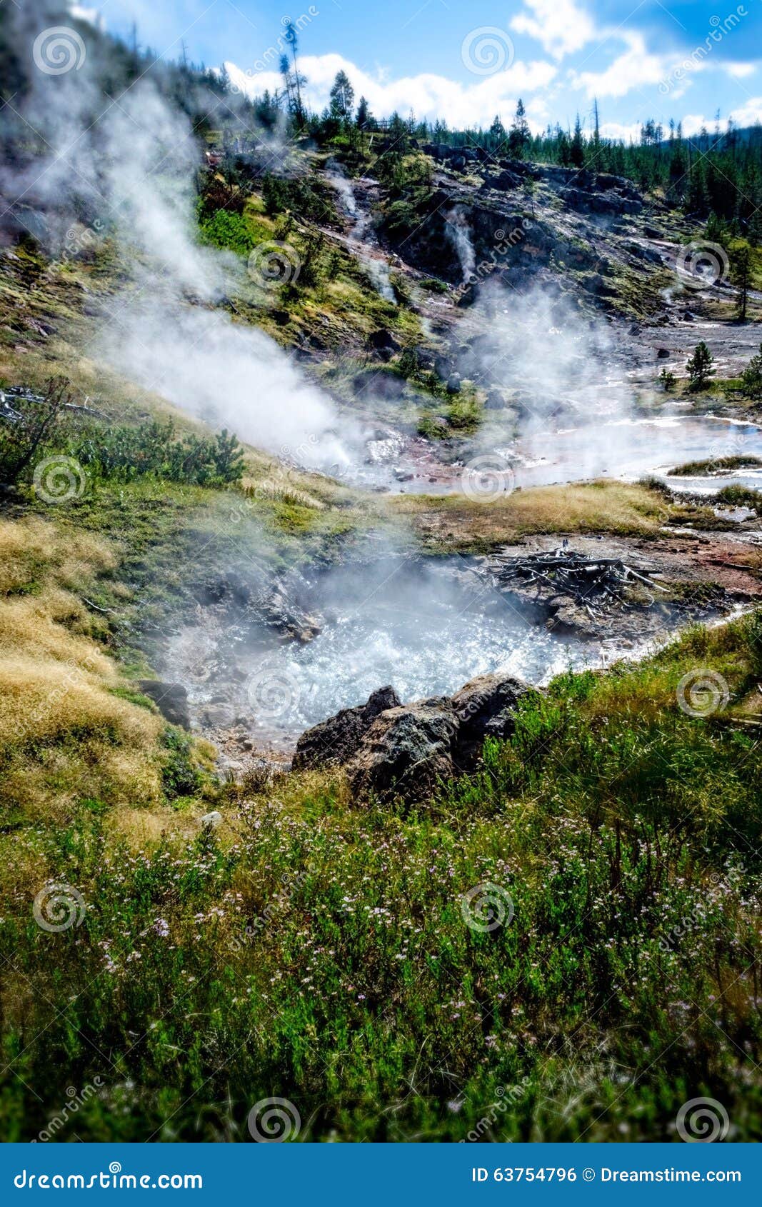Yellowstone Paint Pots Water Boiling Stock Photo - Image of yellowstone ...