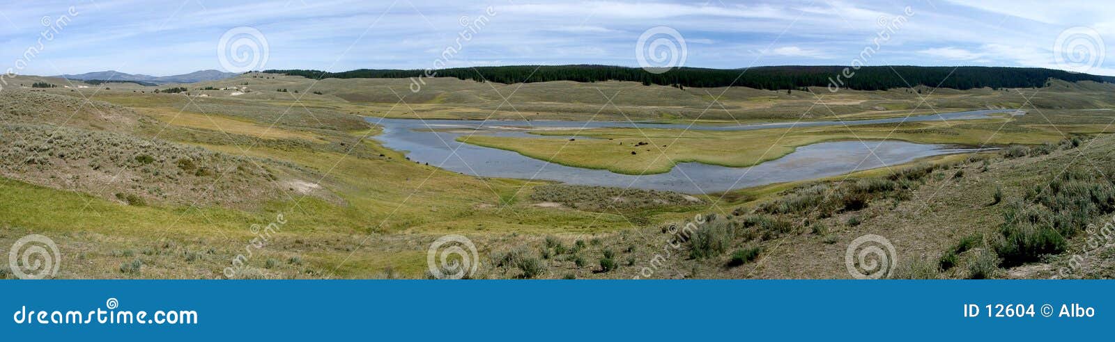Yellowstone prairie stock photo. Image of land, colour, yellowstone - 12604