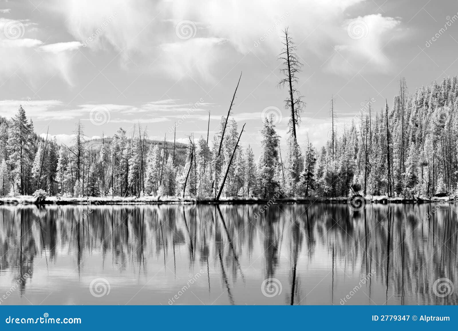 Yellowstone Reflections in IR Stock Image - Image of nature, wyoming ...