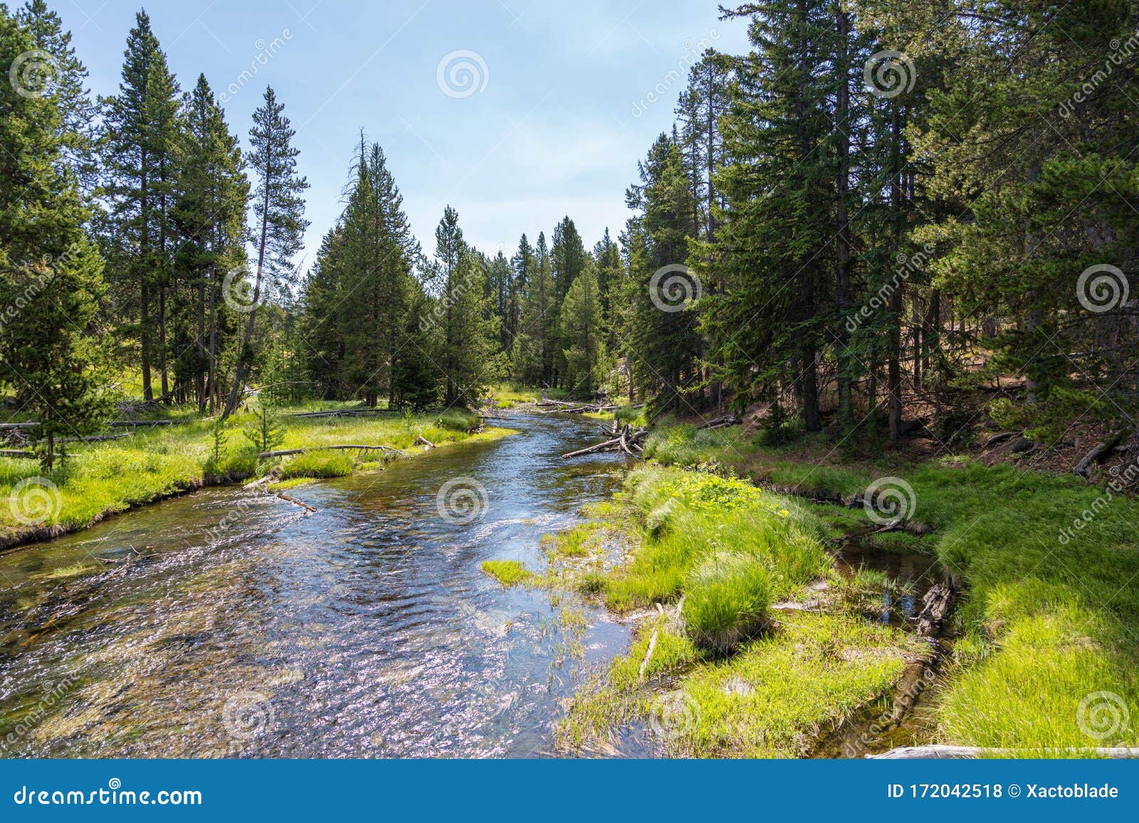 Yellowstone River Landscape with Beautiful Forest Reflection in ...