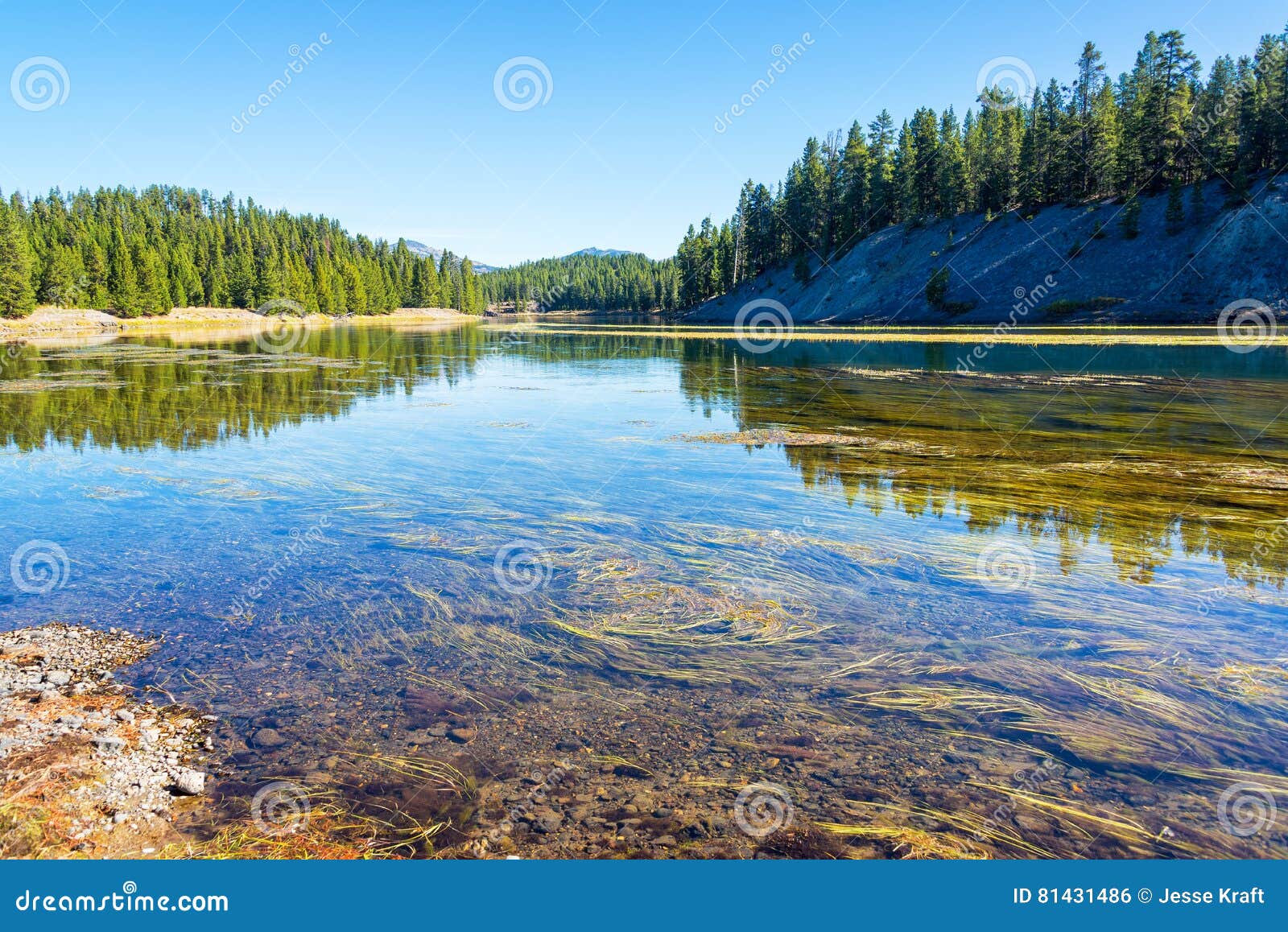 1,848 Yellowstone River Reflection Stock Photos - Free & Royalty-Free ...