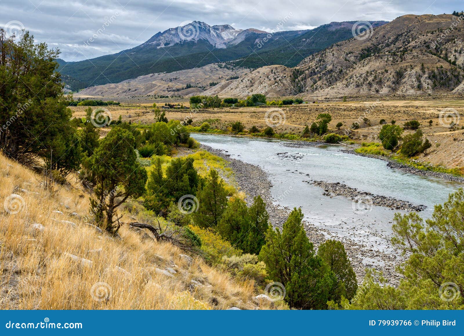 Yellowstone River in Montana Stock Photo - Image of scenic, states ...