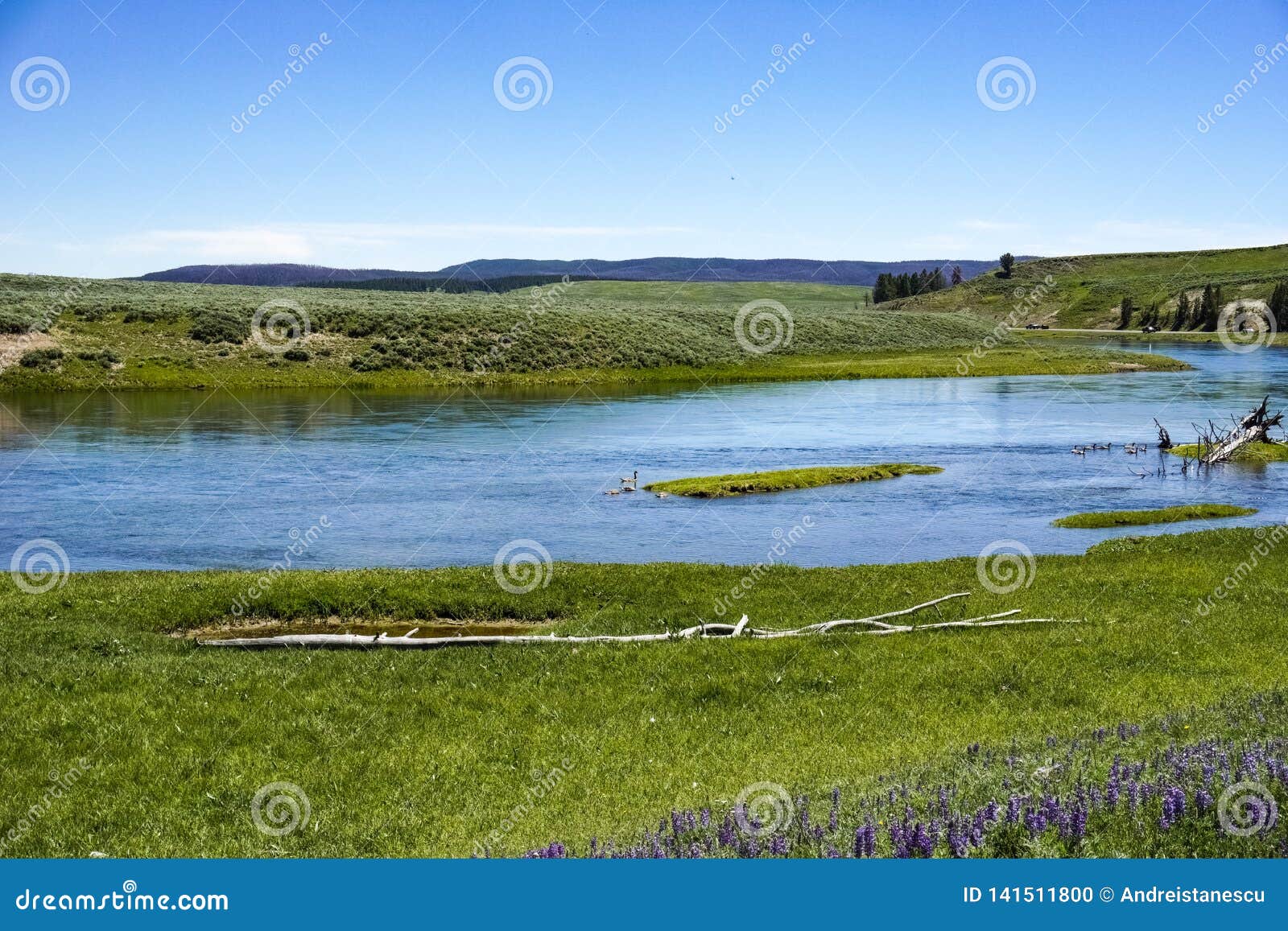 Yellowstone River Valley, Yellowstone National Park Stock Photo - Image ...