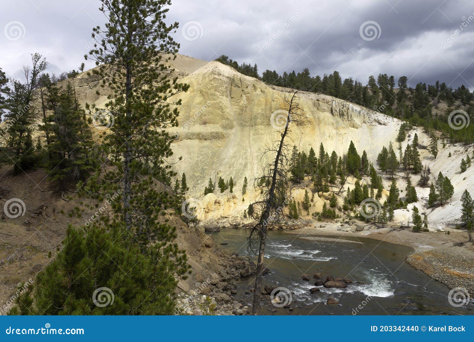 Yellowstone River in the Valley of Yellowstone National Park. Stock ...