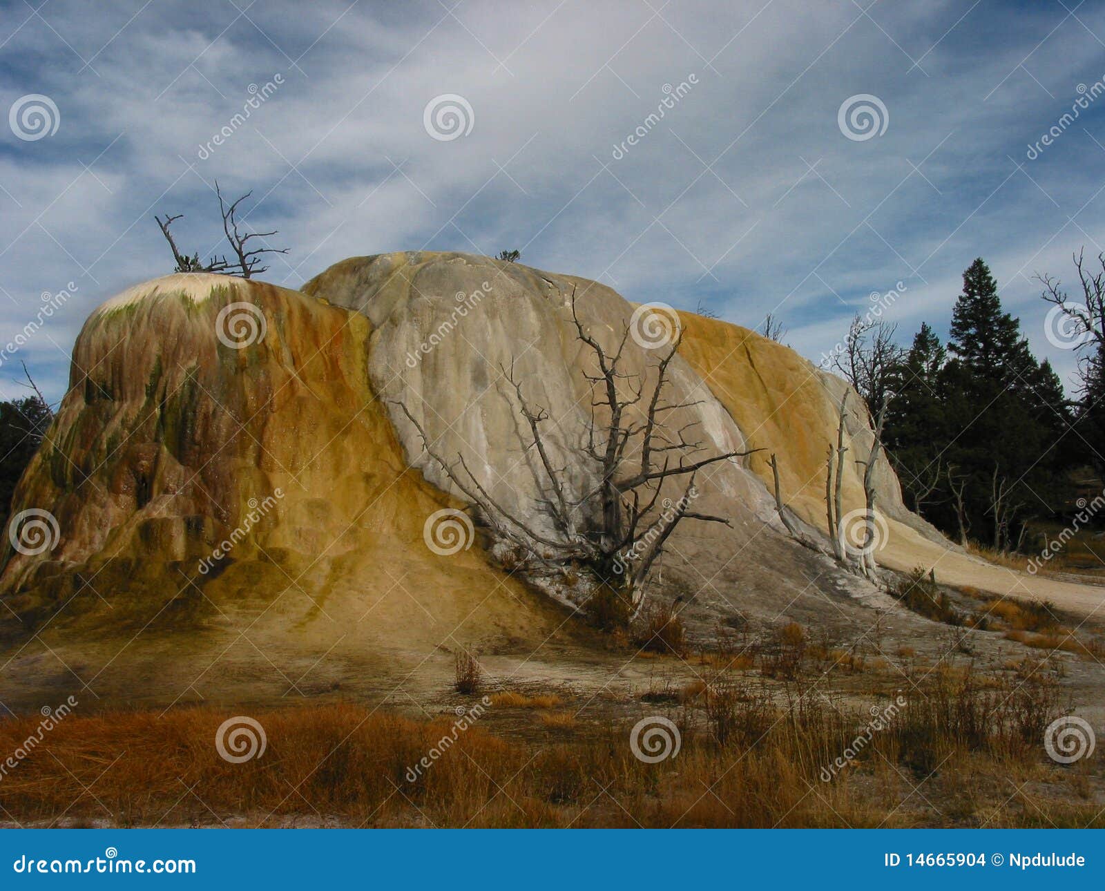 Yellowstone Sulfur Springs stock photo. Image of yellowstone - 14665904