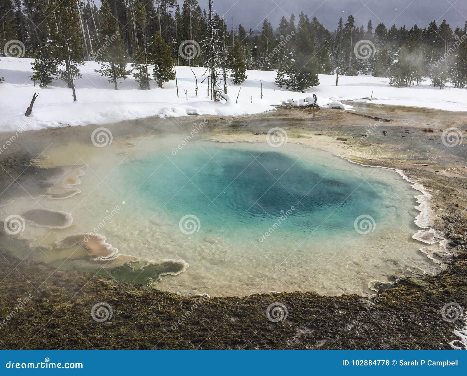 Yellowstone thermal pool stock photo. Image of pool - 102884778