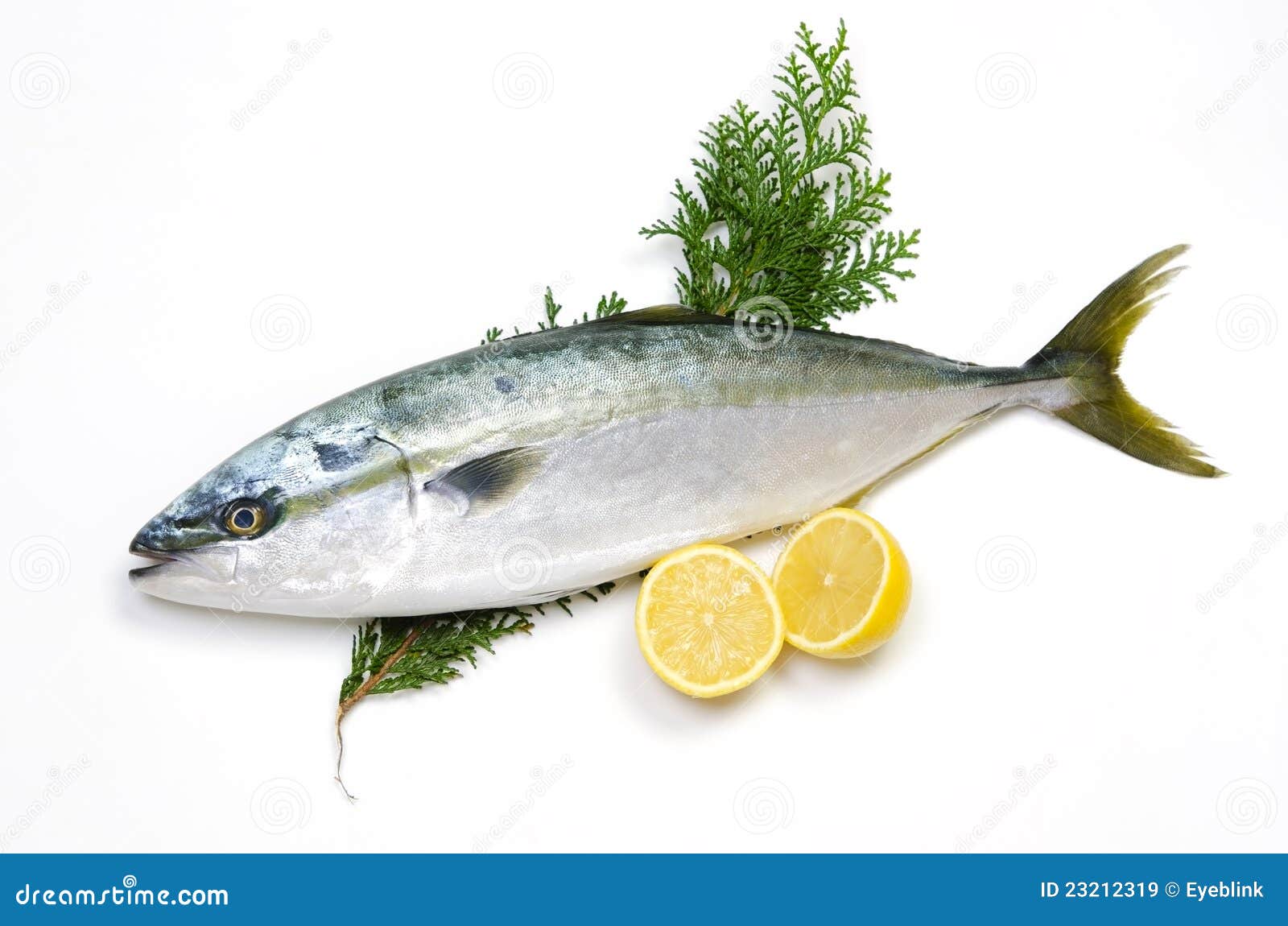 Yellowtail stock image. Image of vertebrate, meal, amberjack - 23212319