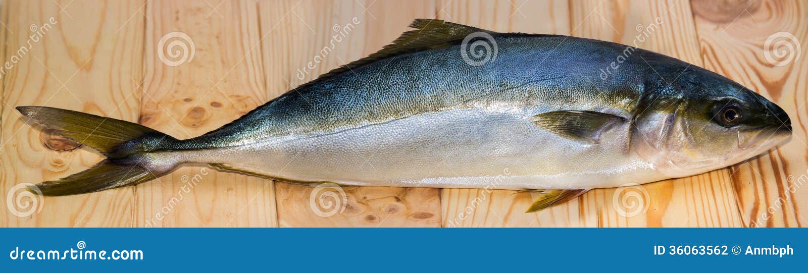 Yellowtail Fish on Wooden Board Stock Photo - Image of nutrition, cold ...