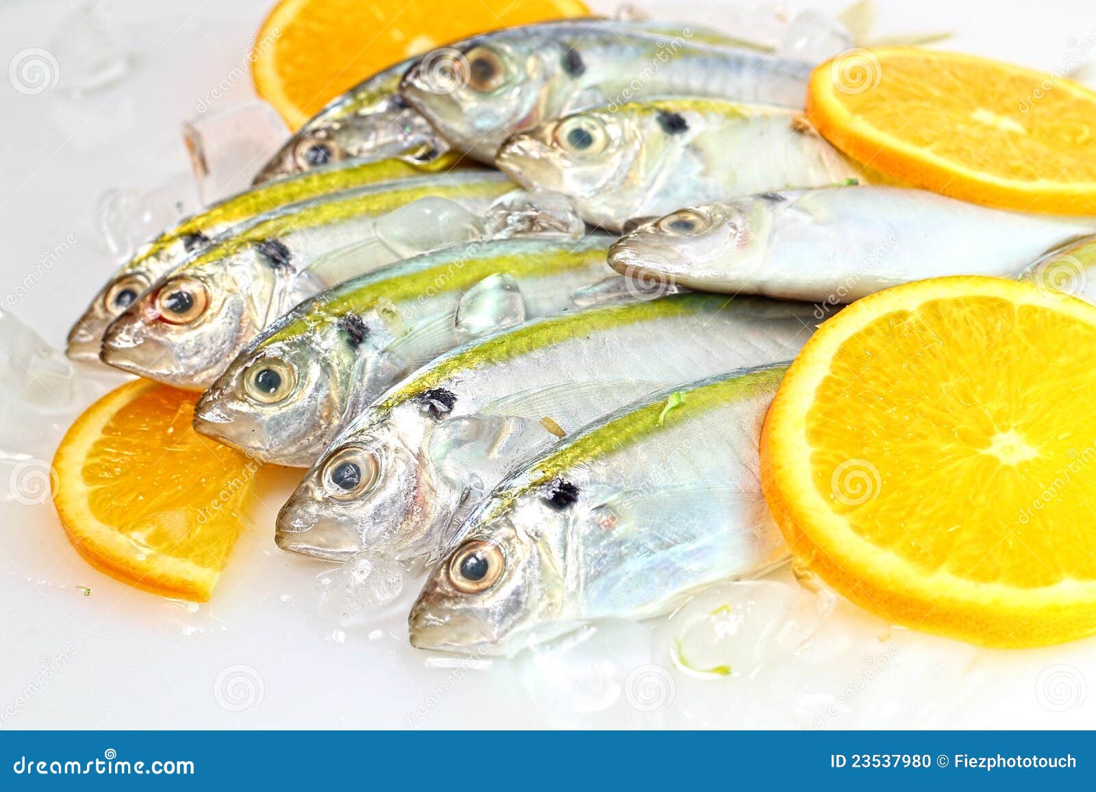 Yellowtail scad fish stock photo. Image of protein, fish - 23537980