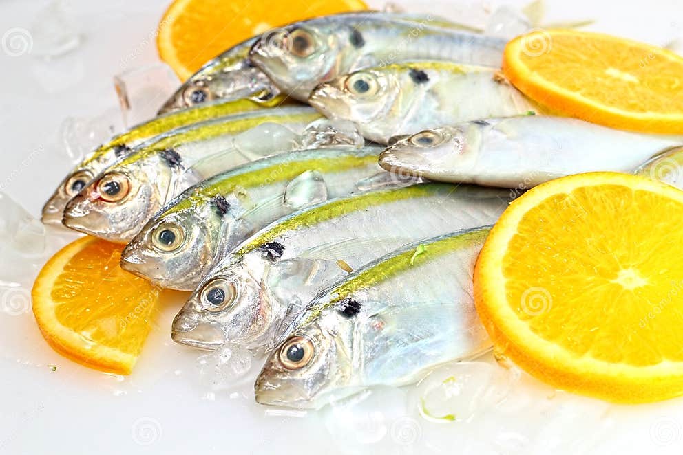 Yellowtail scad fish stock photo. Image of protein, fish - 23537980