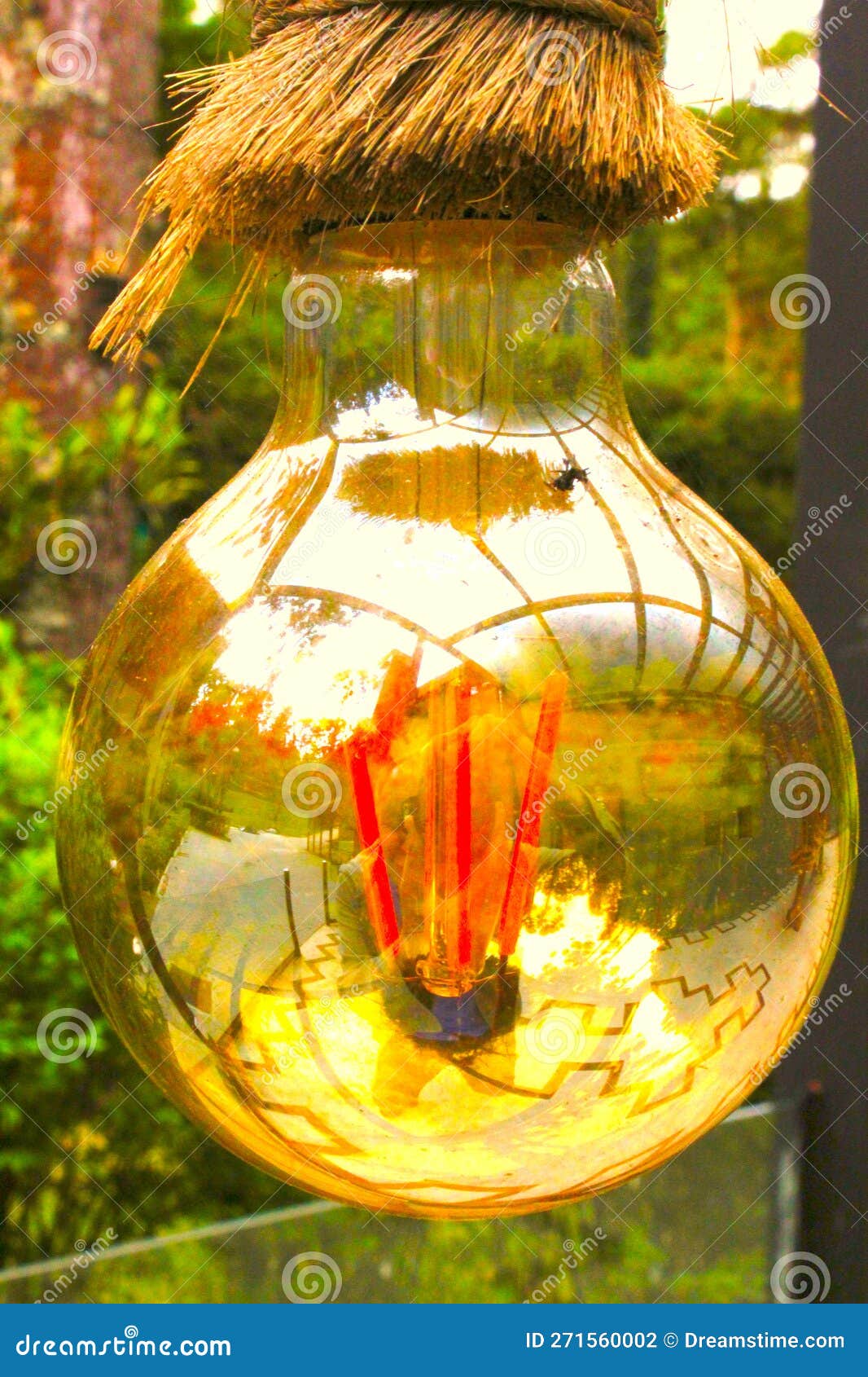 Yelow light bulb stock photo. Image of bottle, lamp - 271560002