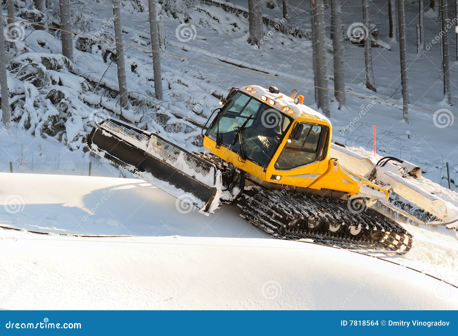 Yelow ratrack stock photo. Image of nature, clear, snow - 7818564