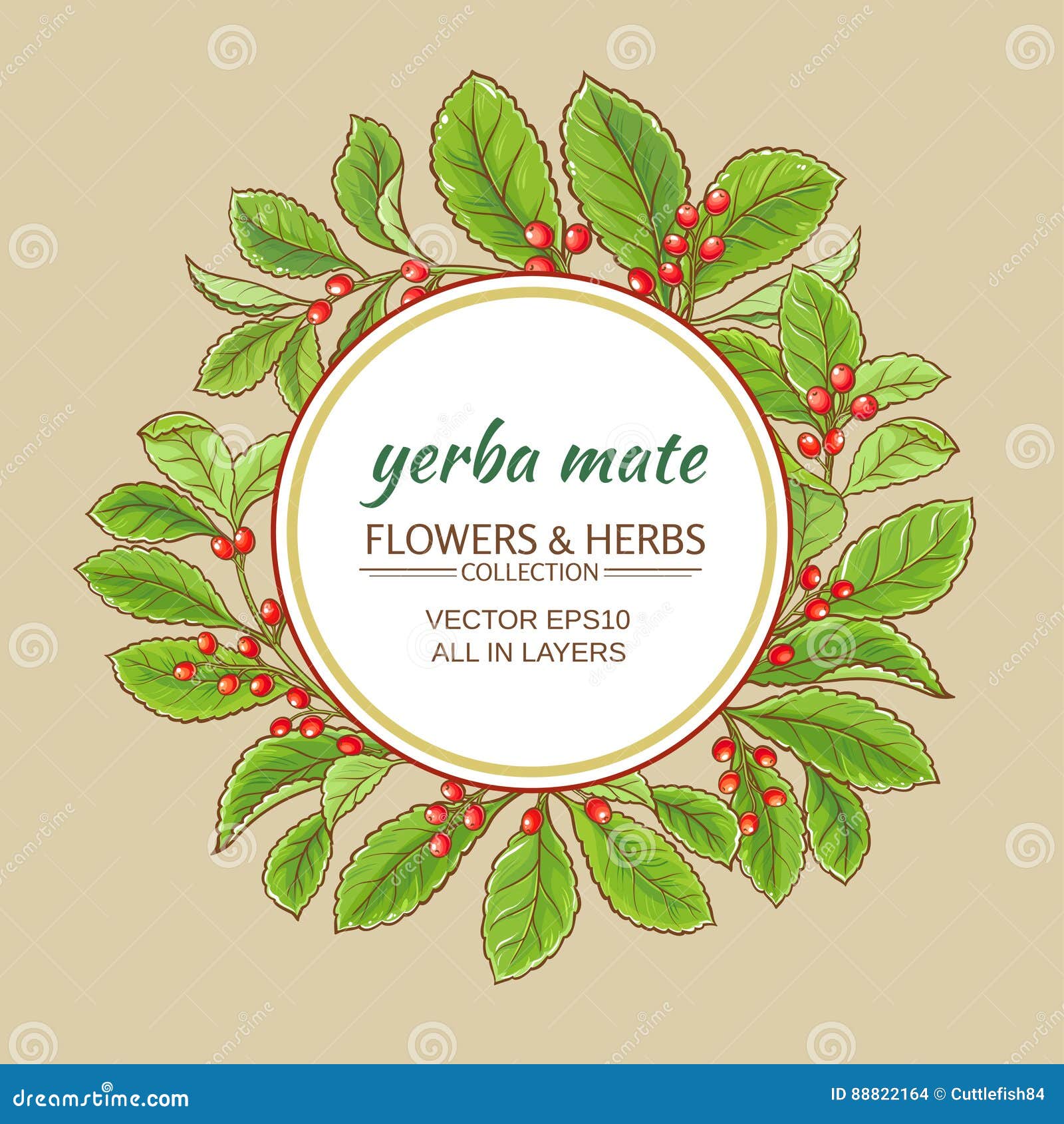 Yerba mate frame stock vector. Illustration of herbal - 88822164