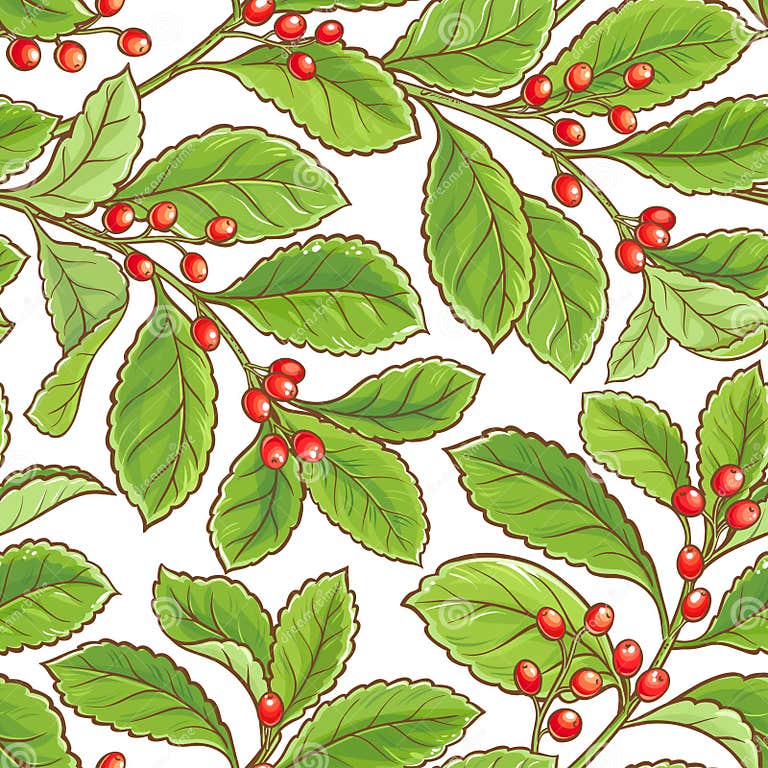 Yerba mate vector pattern stock vector. Illustration of leaf - 111318365