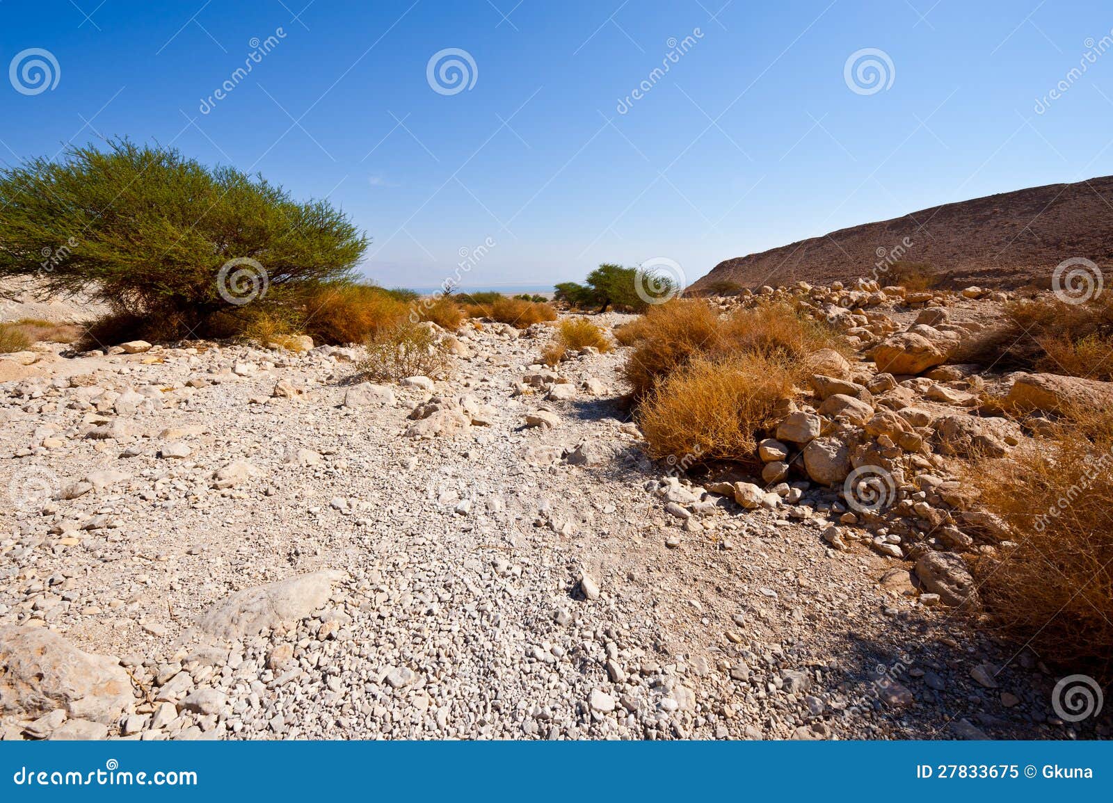 Yermo imagen de archivo. Imagen de roca, polvo, peligro - 27833675