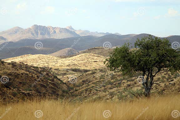 Yermo en Namibia foto de archivo. Imagen de rojo, dunas - 2145428